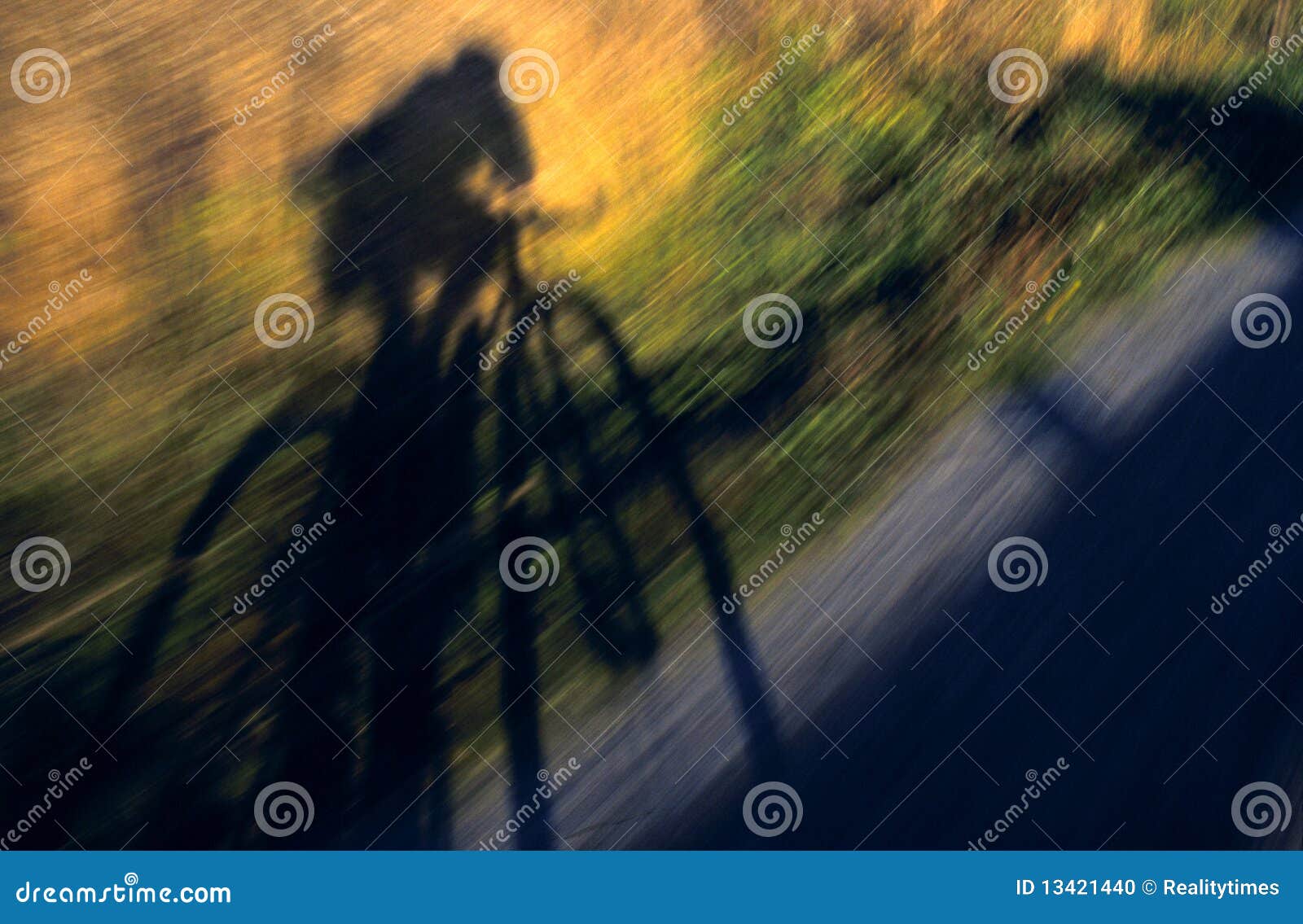 Bicyclist S Shadow Whizzing by Stock Photo - Image of bicycle, biker ...