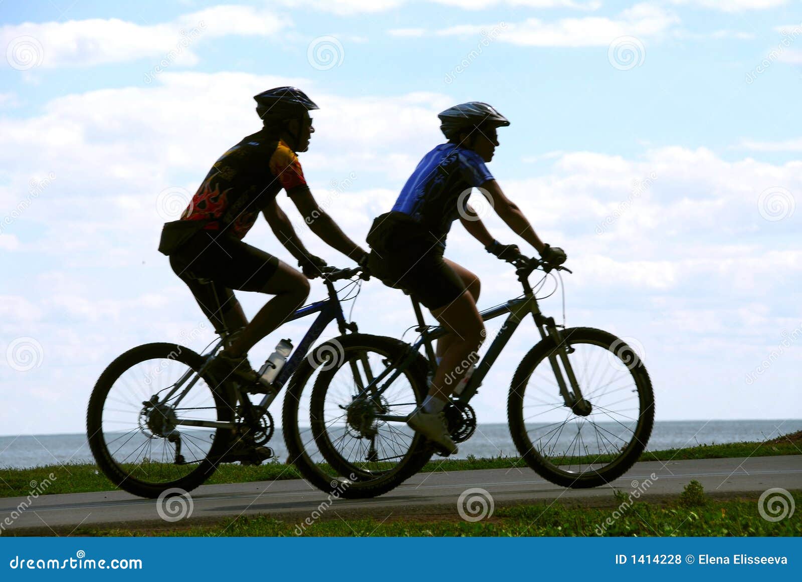 Bicyclists stock photo. Image of coast, nature, biking - 1414228