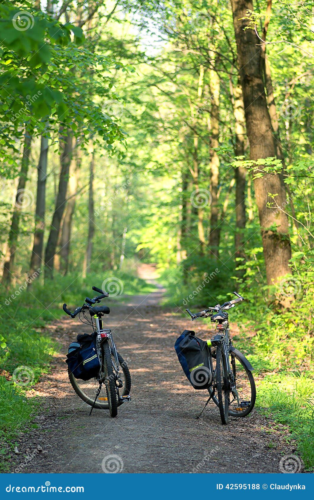Bicykle trip stock photo. Image of forest, pause, mountain - 42595188