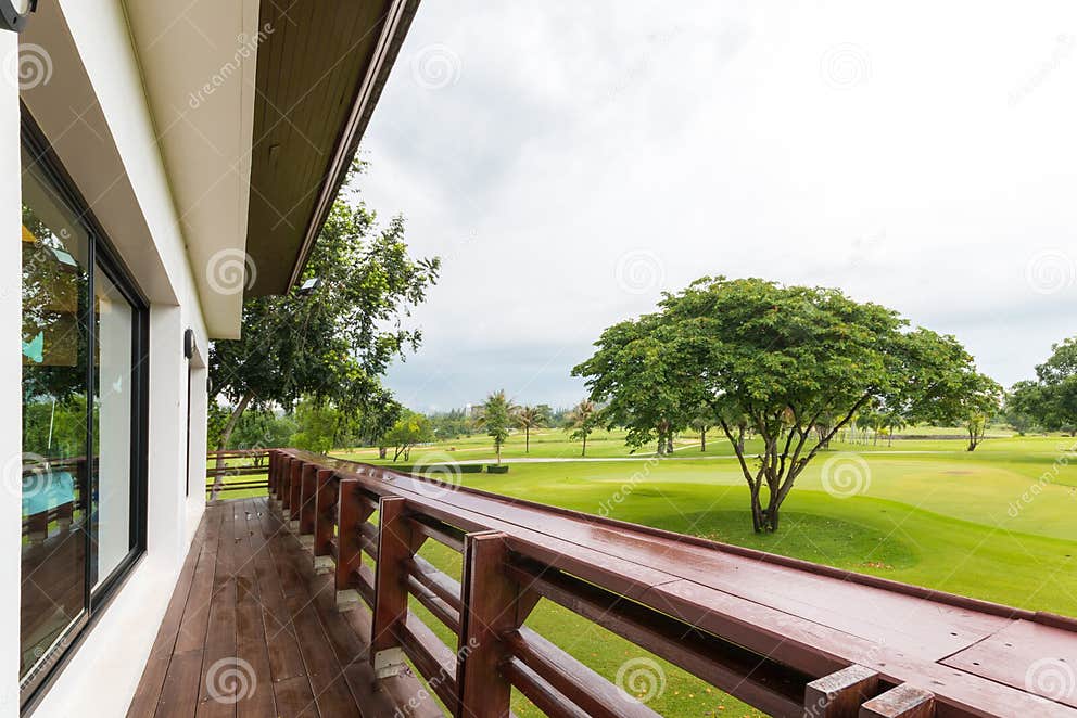 Bid tree in golf course stock photo. Image of hole, nature - 90009316