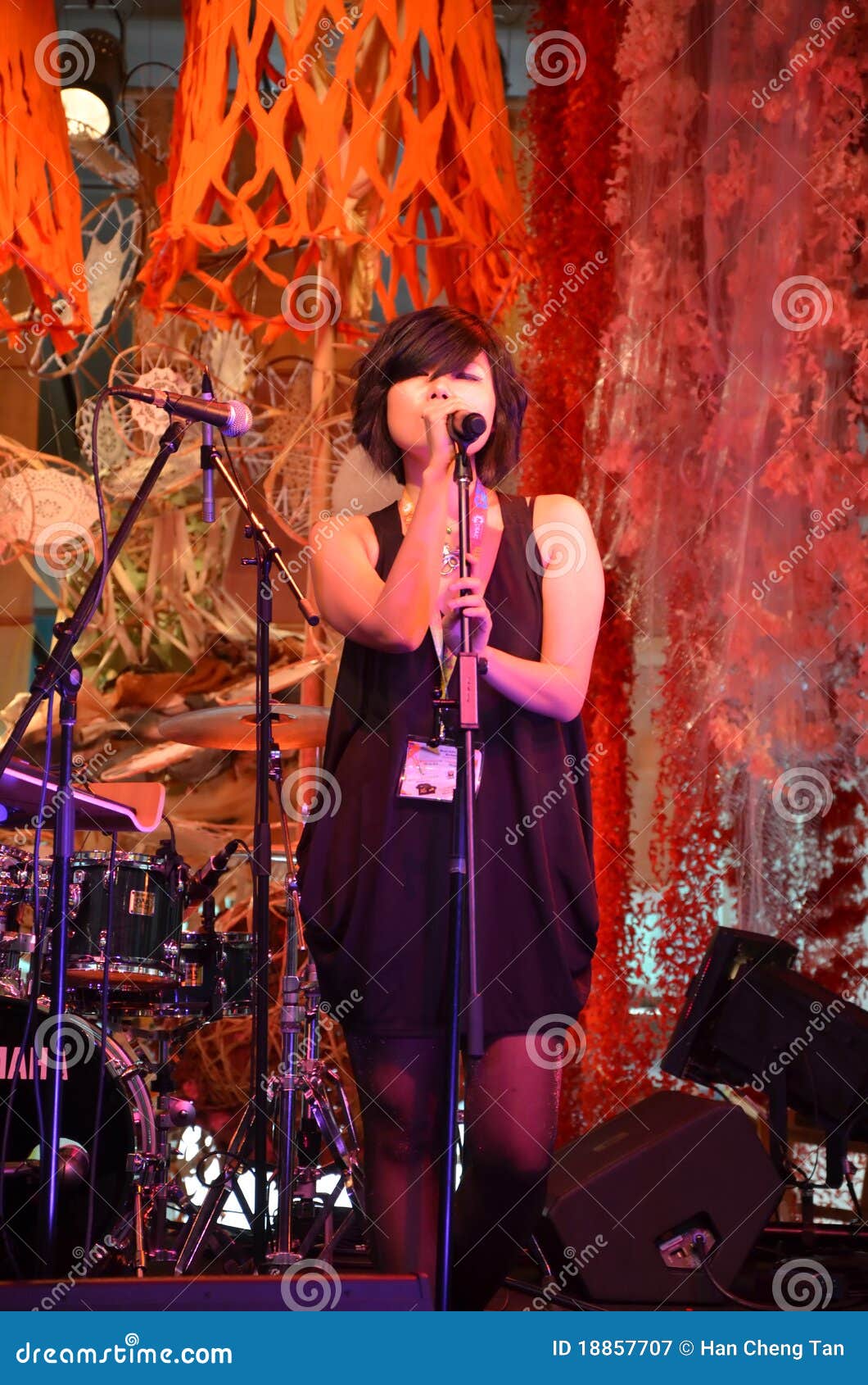 Biddy & Ken Hayashida editorial photography. Image of classical - 18857707