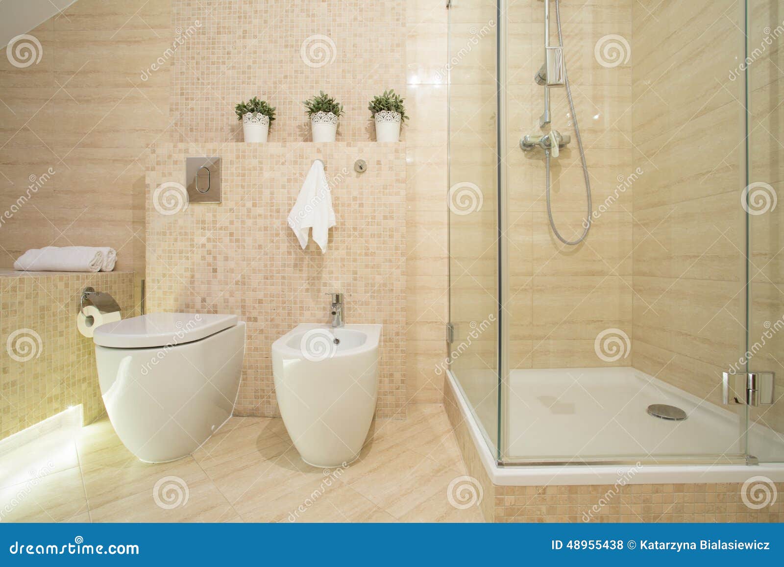 Bidet, toilet and shower stock photo. Image of house - 48955438