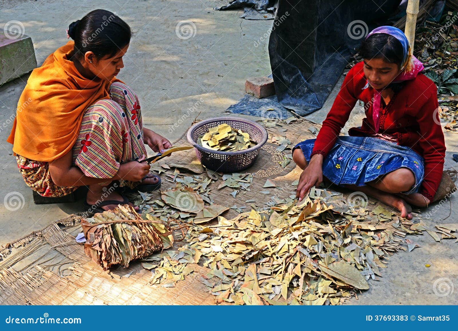 Bidi Making editorial stock photo. Image of girls, health - 37693383