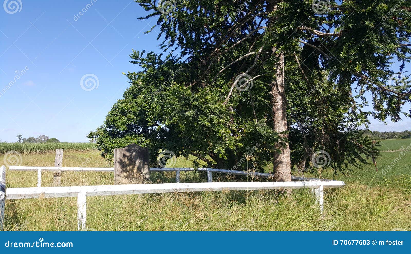 Bidwill grave qld stock image. Image of grave, australia - 70677603