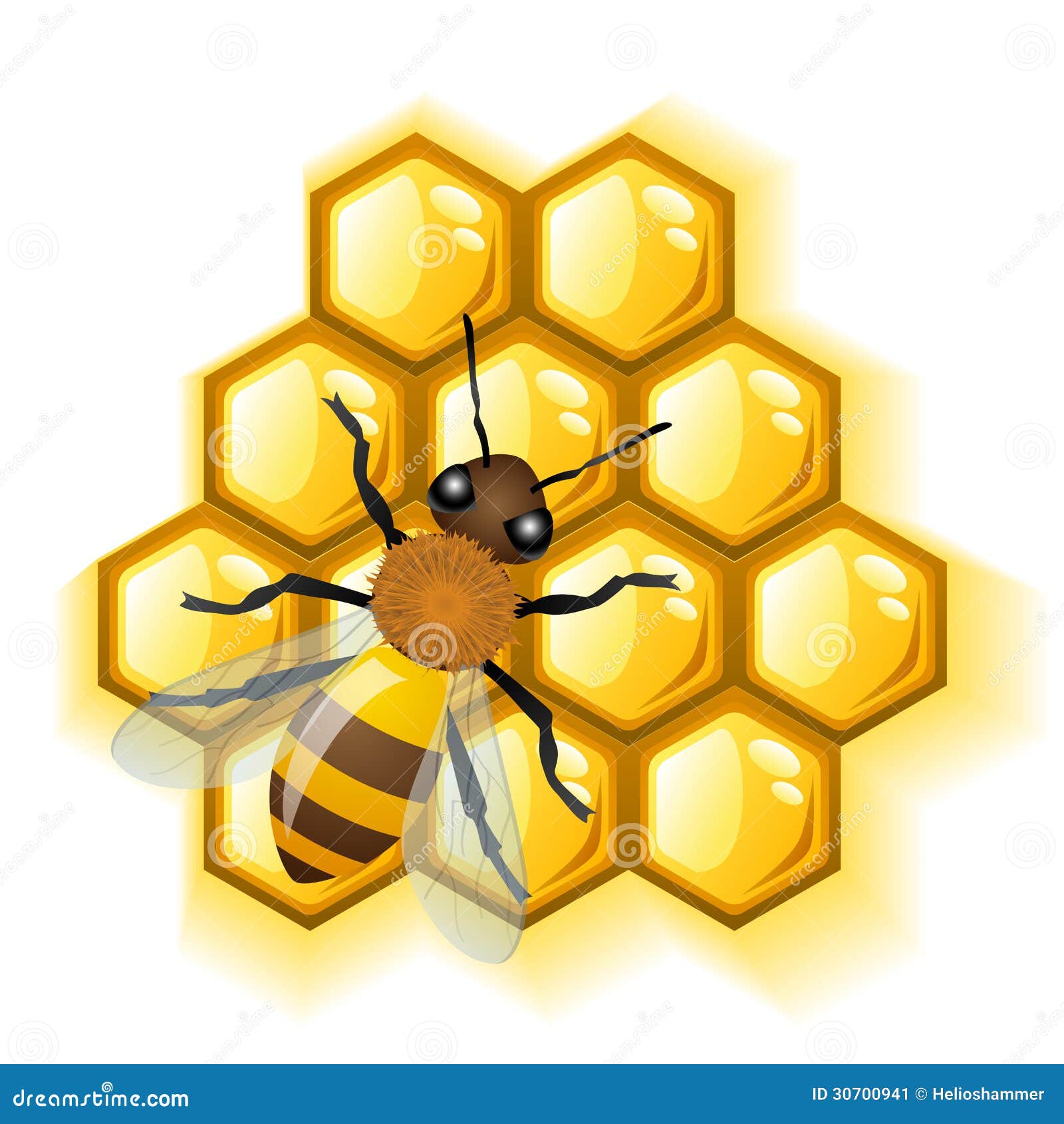 Biene mit Honig vektor abbildung. Illustration von insekt - 30700941