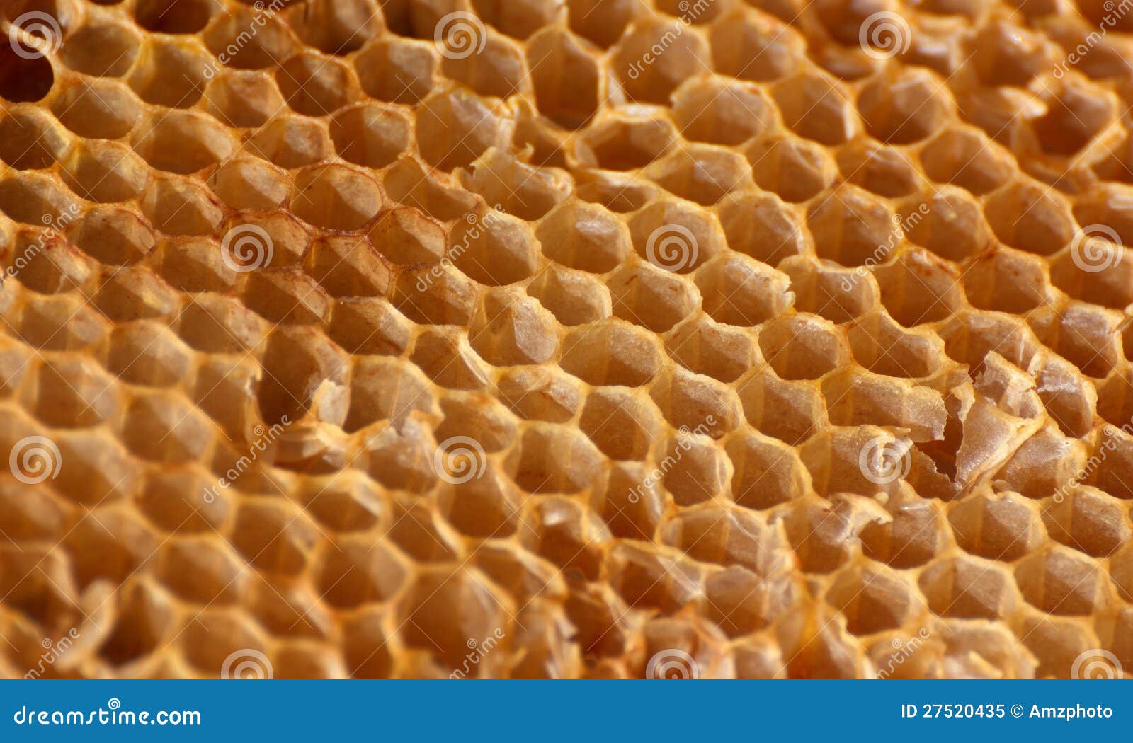 Bienenwabe stockbild. Bild von wachs, umgebung, nave - 27520435