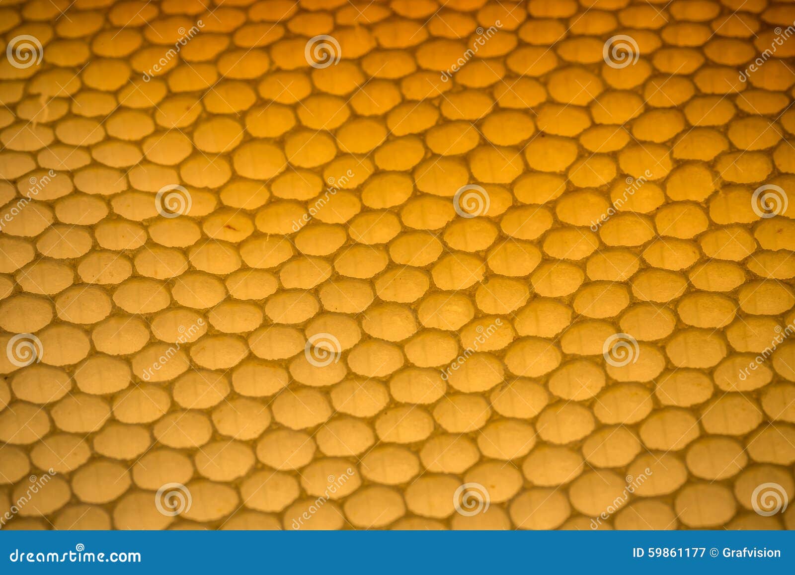 Bienenwabe stockbild. Bild von gelb, beschaffenheit, makro - 59861177