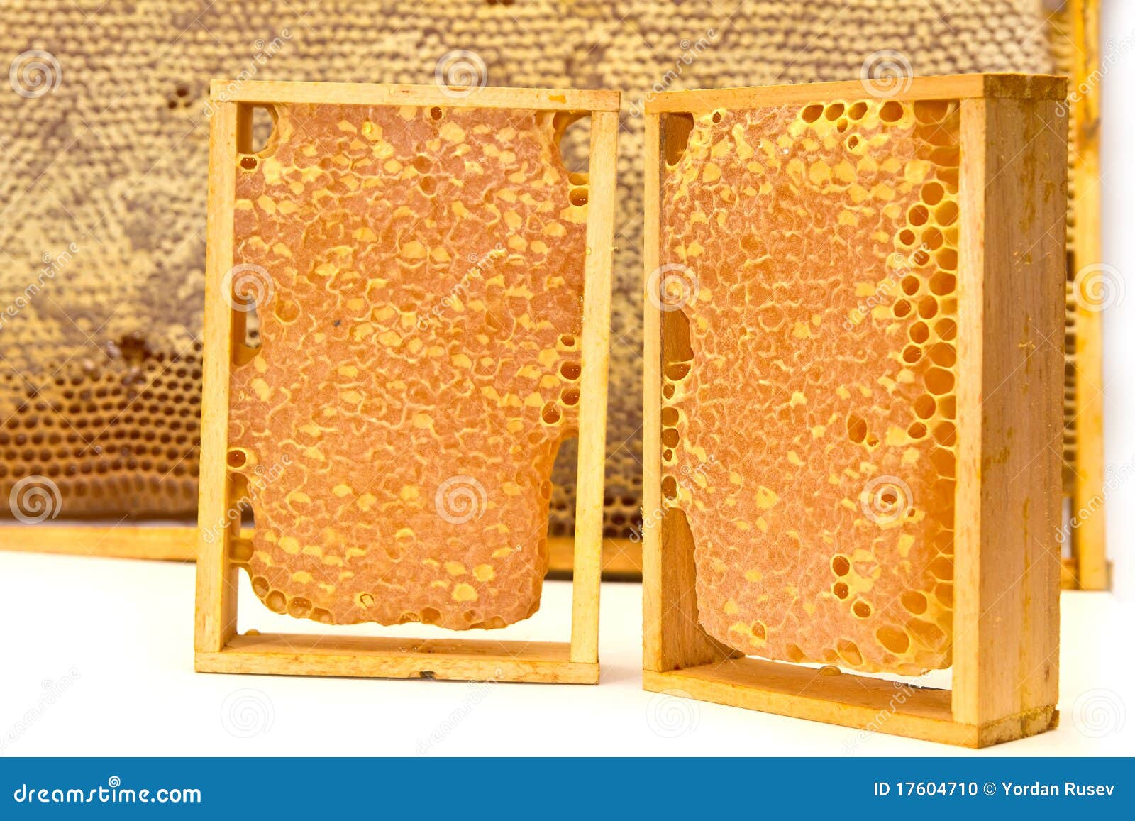 Bienenwaben stockfoto. Bild von bienenstöcke, biene, wachs - 17604710