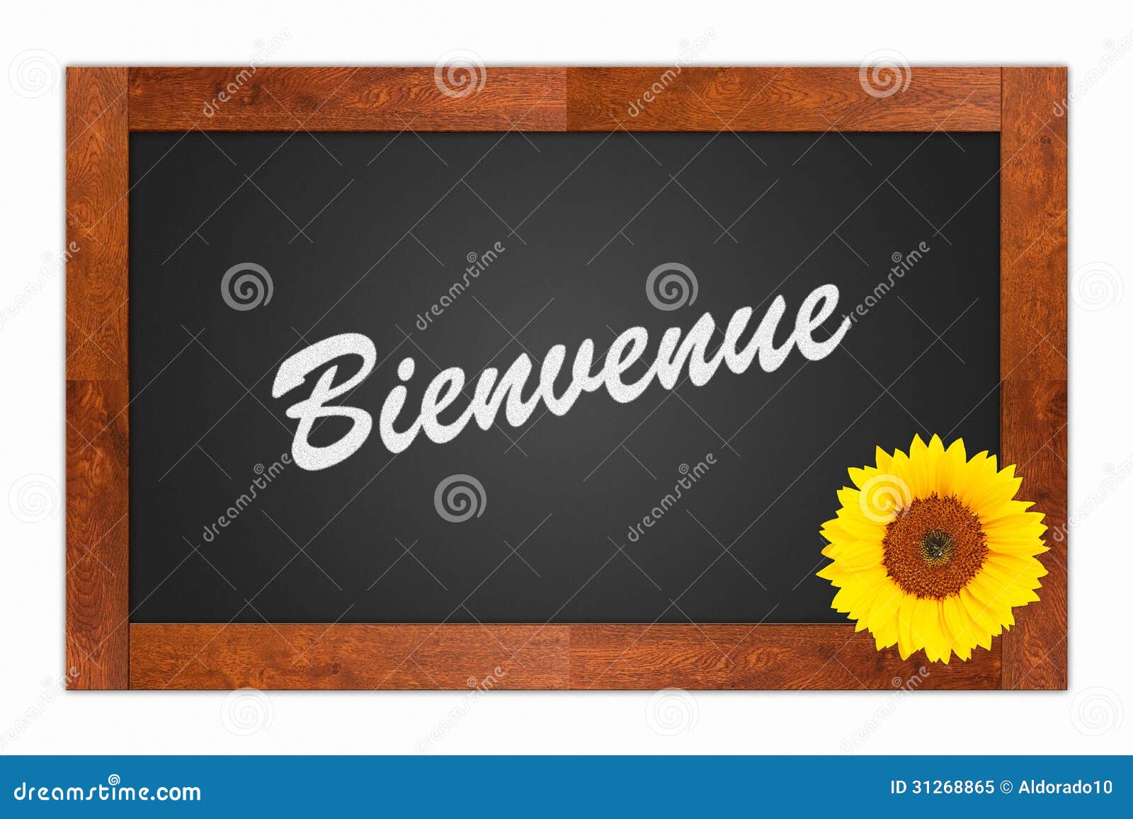 Bienvenue, signe bienvenu image stock. Image du visite - 31268865