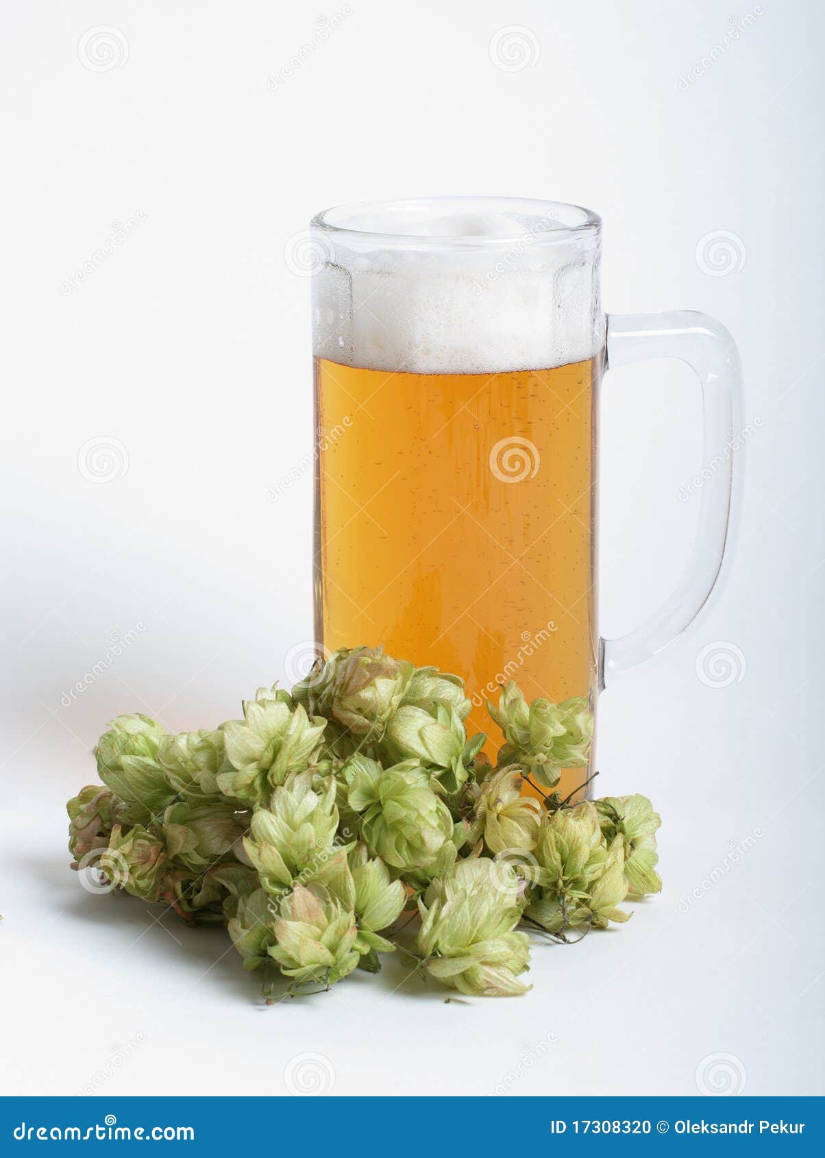 Bier en hop stock foto. Image of glas, niemand, verticaal - 17308320