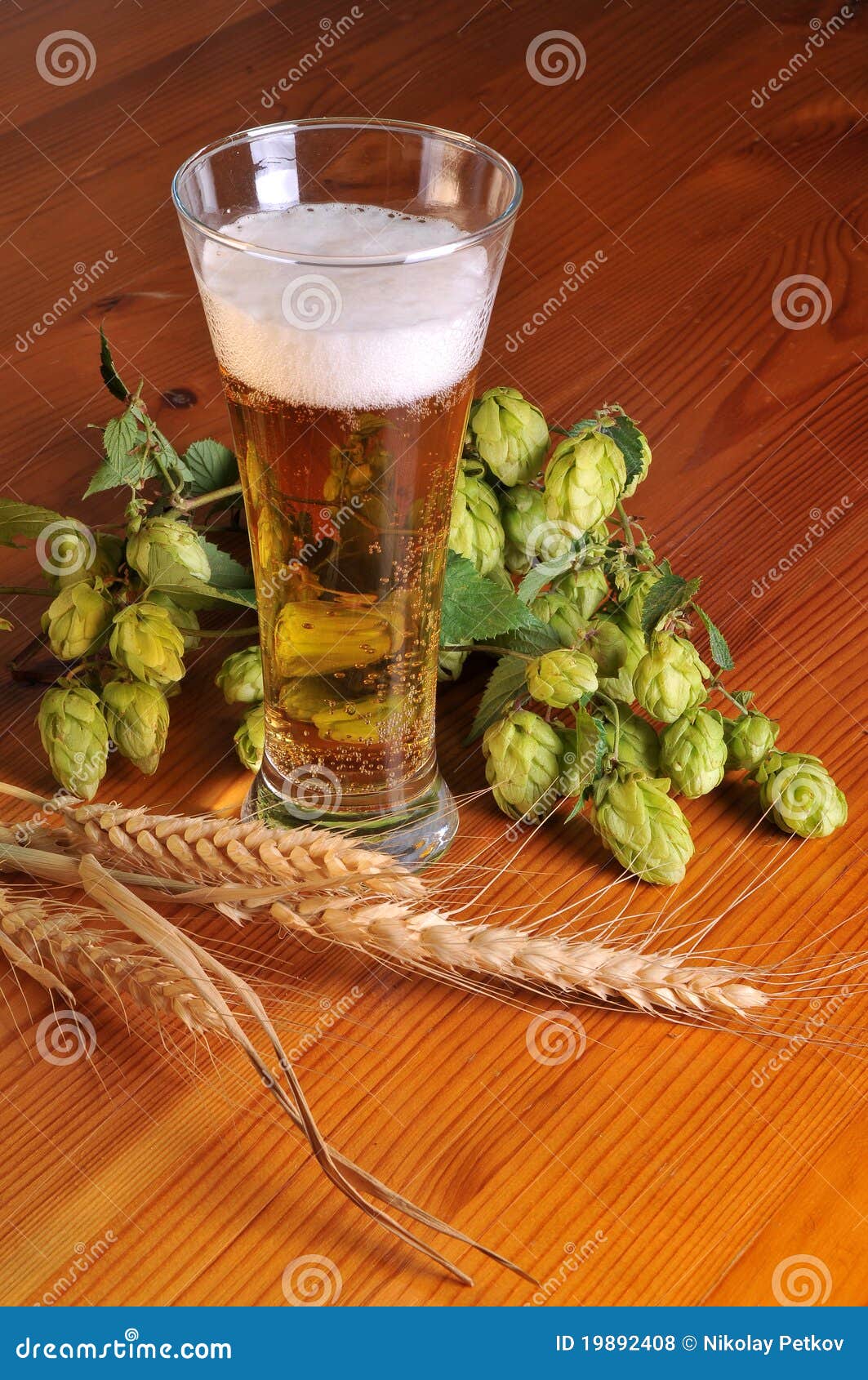 Bier en hop stock foto. Image of blad, drinkbekers, decoratie - 19892408