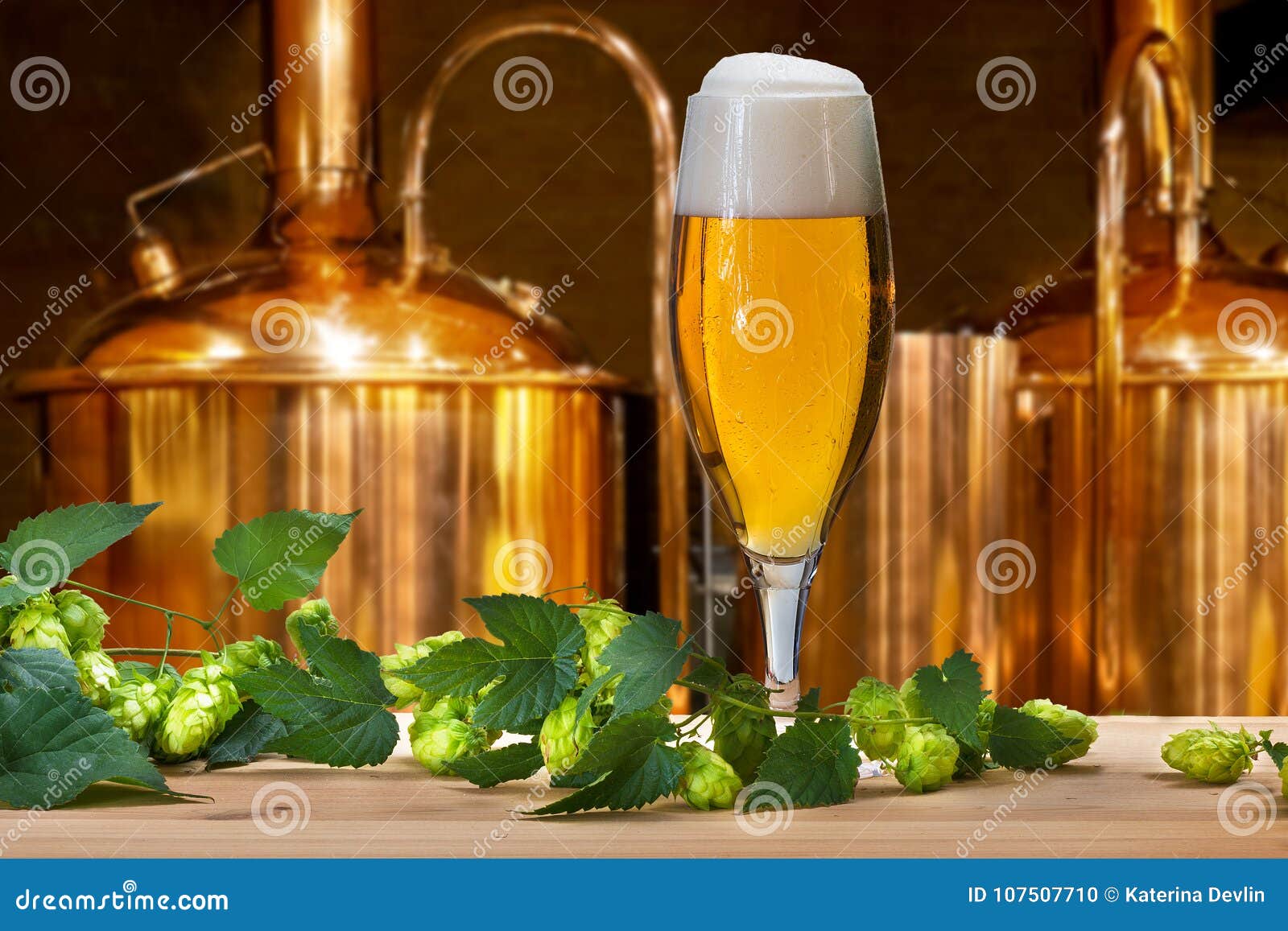 Bier-Glas Mit Hopfen Und Gerste Stockfoto - Bild von herstellung, liter ...