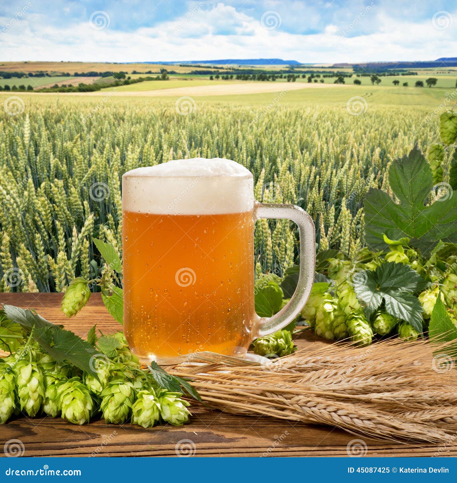 Bier-Glas Mit Hopfen Und Gerste Stockbild - Bild von agronomie, malz ...