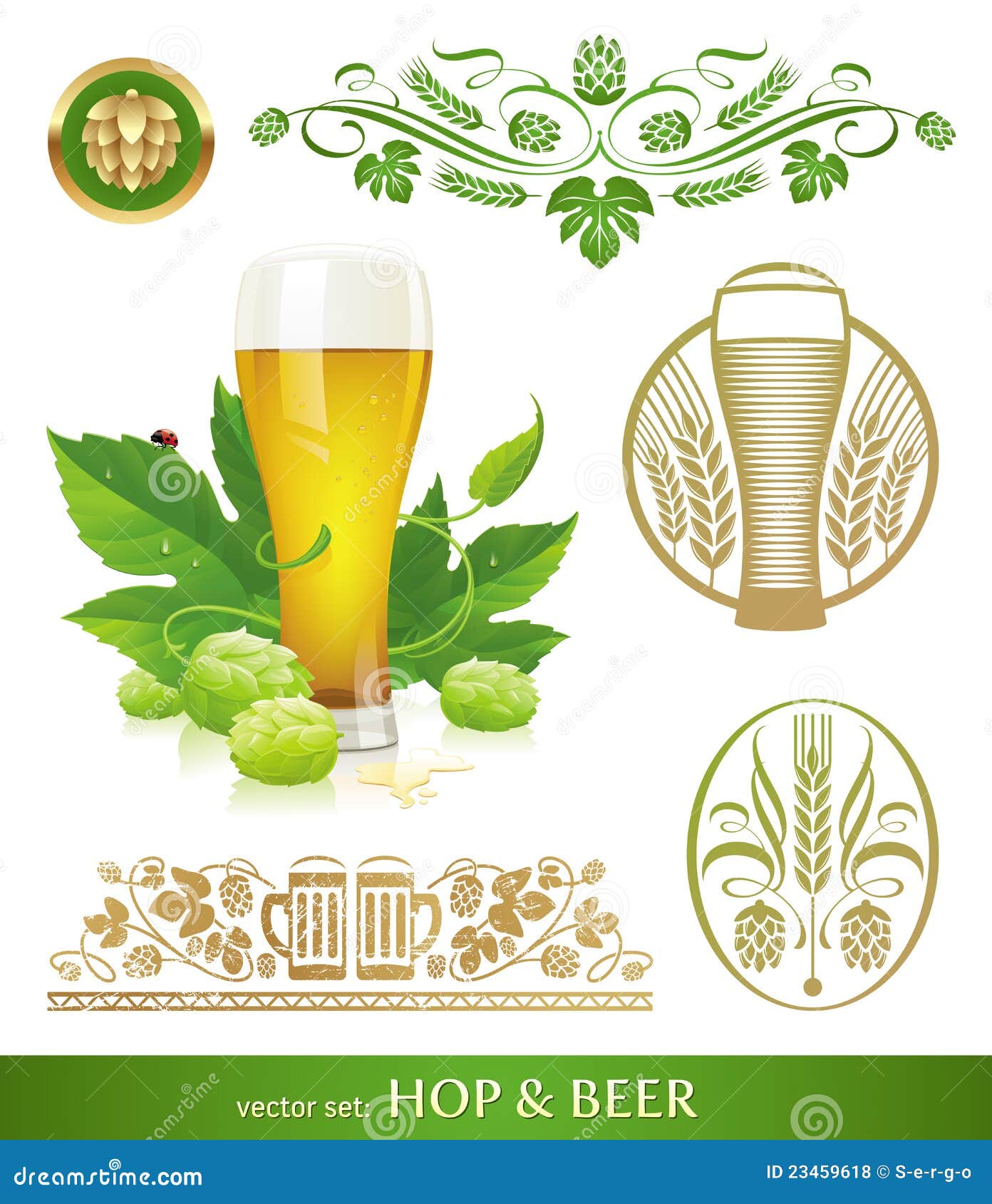 Bier, hop en het brouwen vector illustratie. Illustration of drank ...