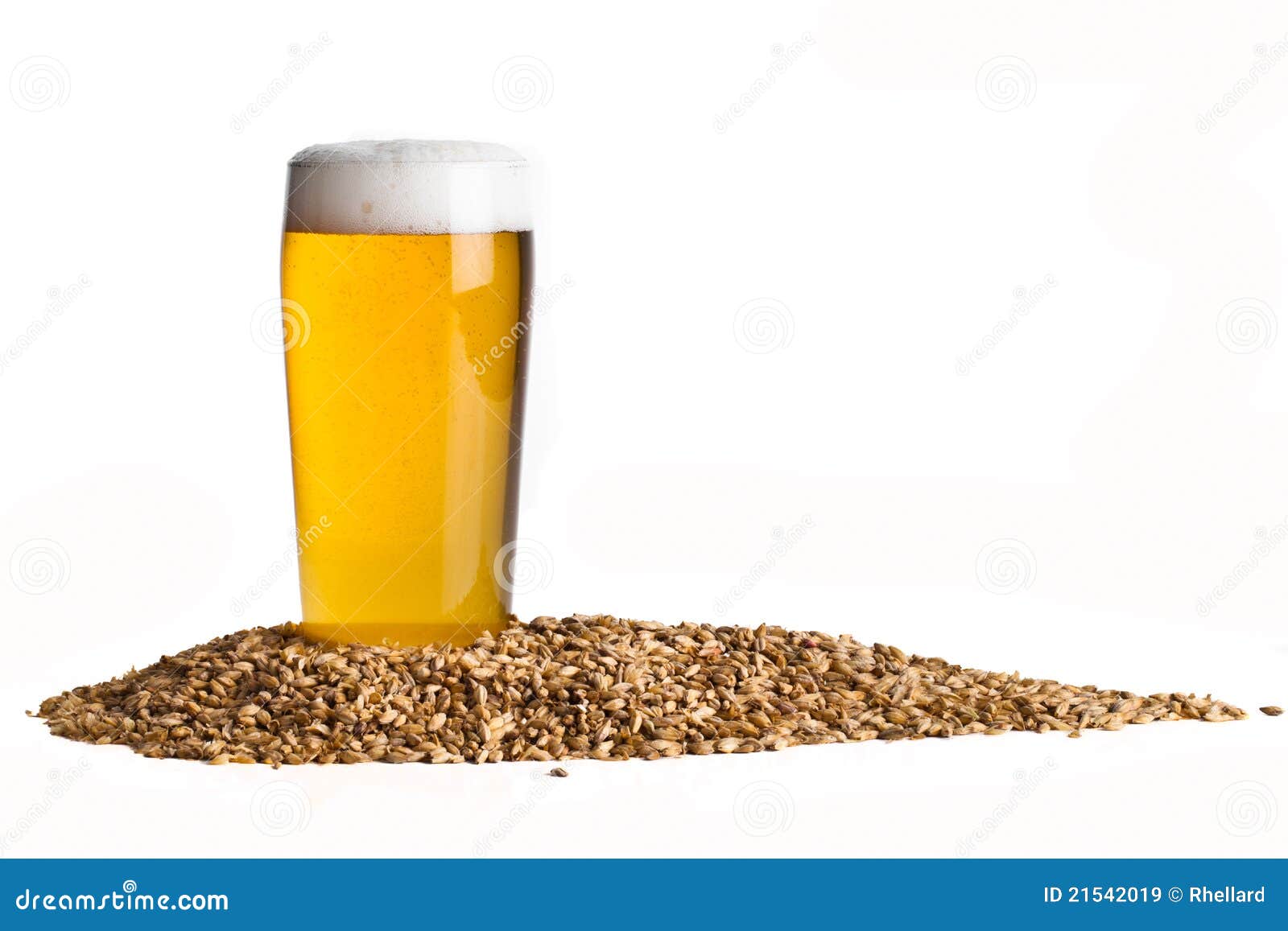 Bier met Gerst stock afbeelding. Image of glas, staaf - 21542019