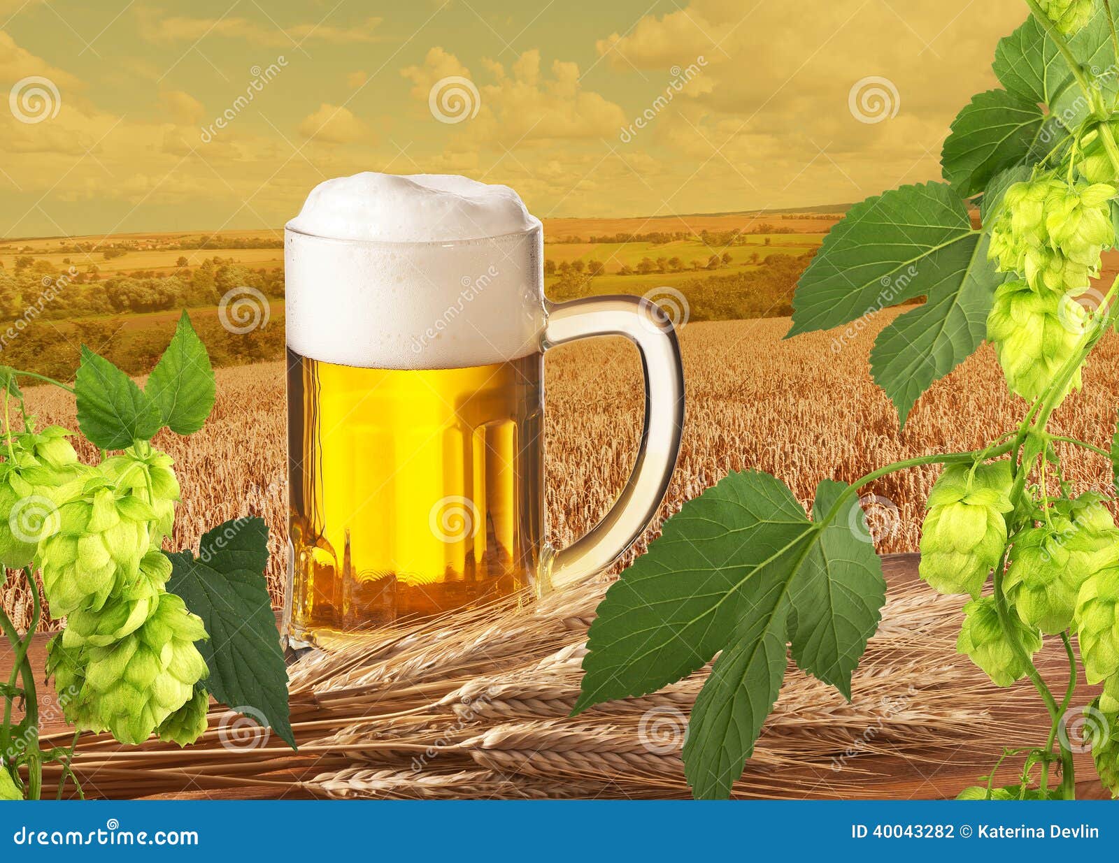 Bier mit Hopfen stockfoto. Bild von tropfen, bier, braun - 40043282