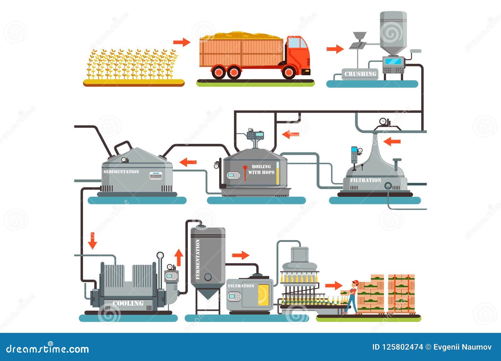 Bierbrouwenproces, Productie Van Bier Vectorillustraties Vector ...