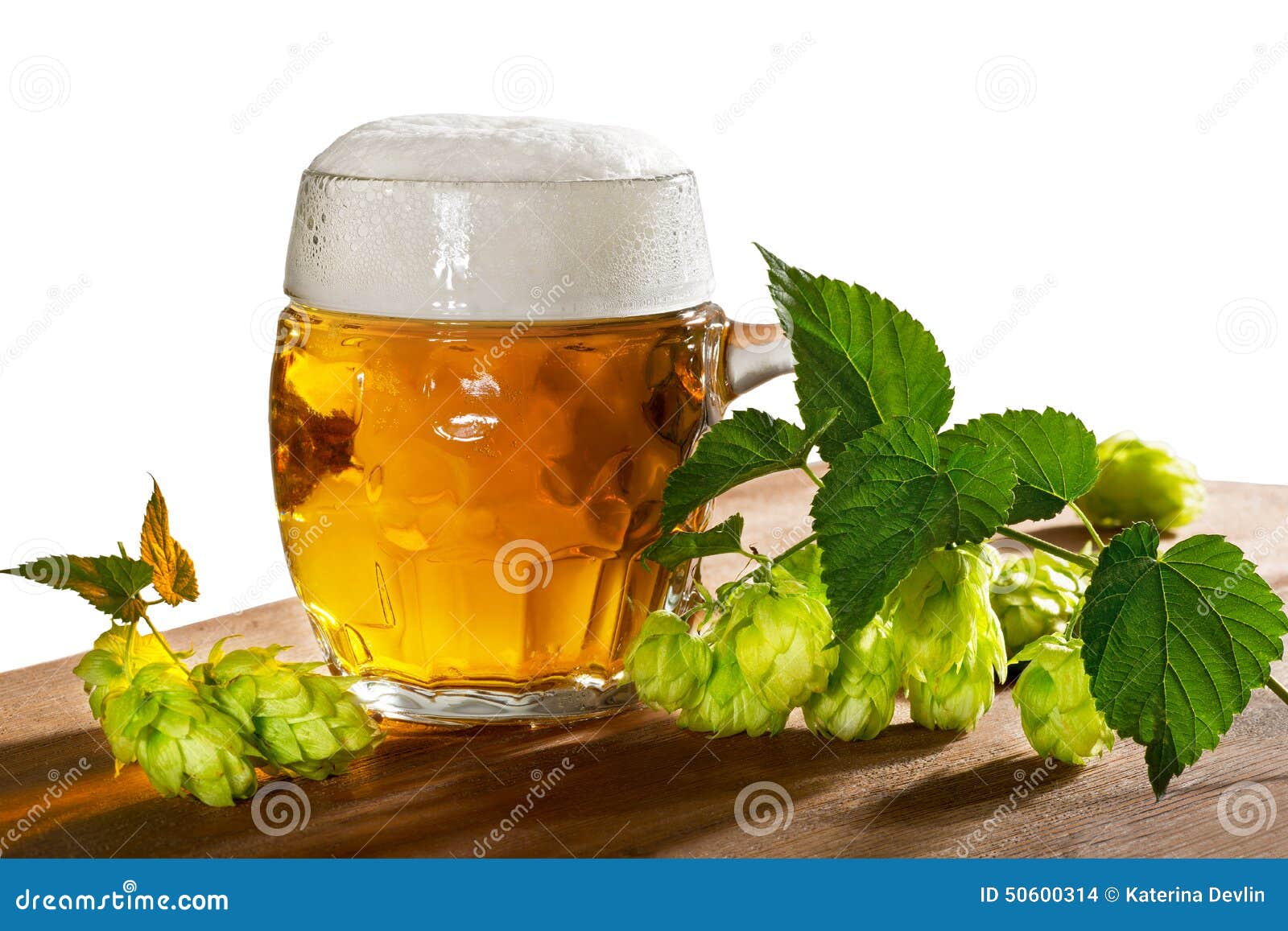 Bierglas und -hopfen stockfoto. Bild von schreibtisch - 50600314