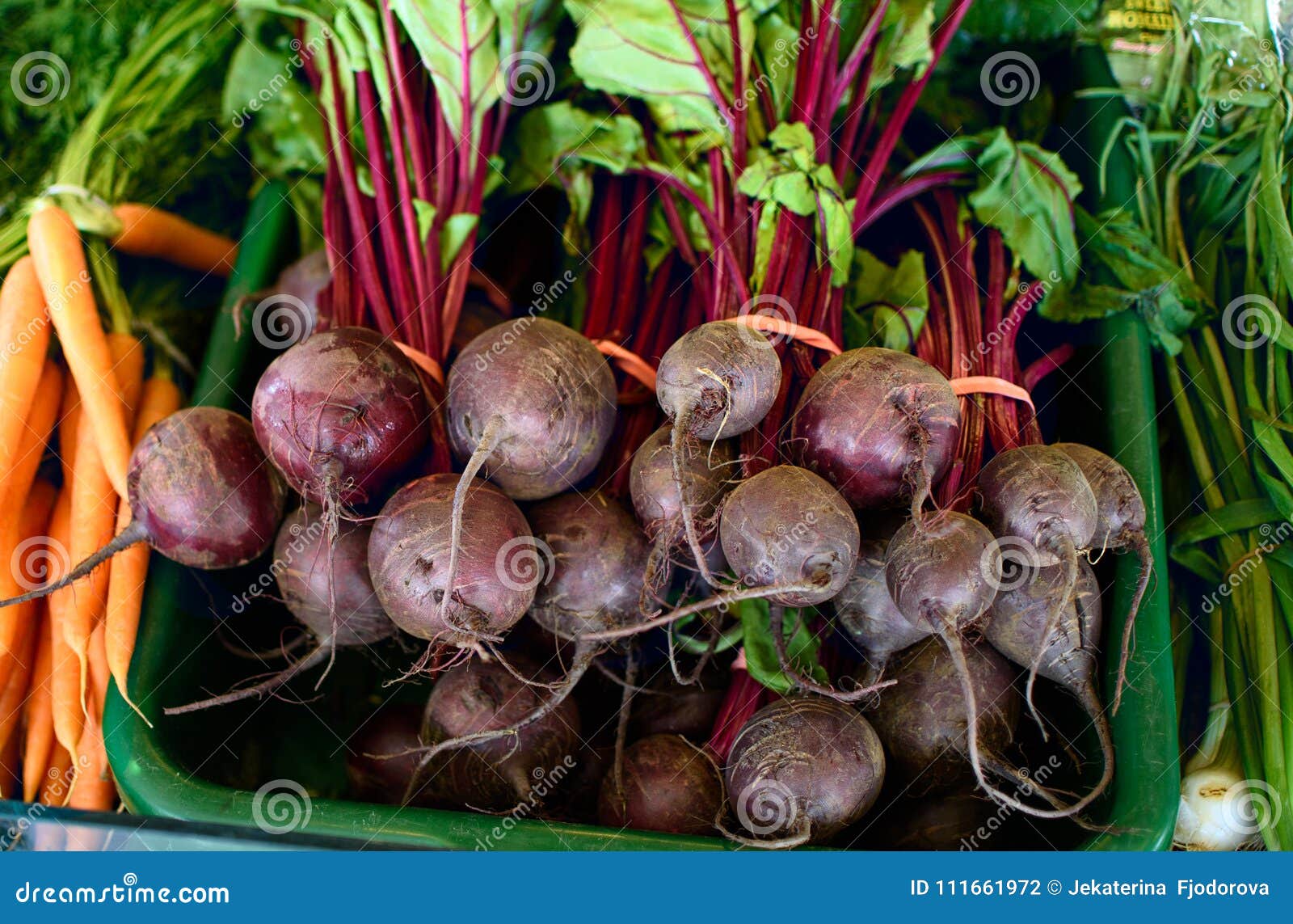 Biet stock foto. Image of verkoop, groen, groenten, markt - 111661972
