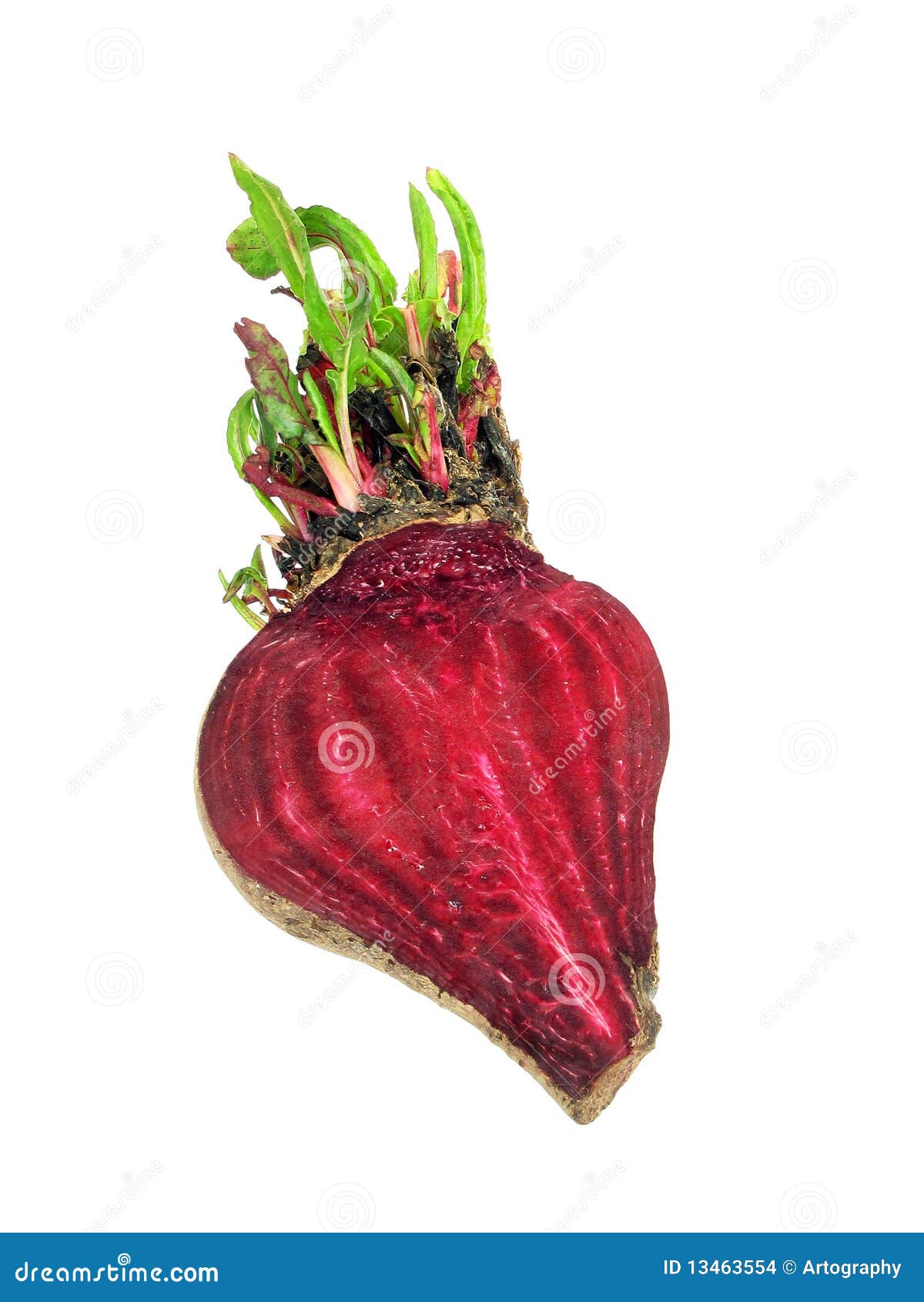 Biet stock foto. Image of sluit, vers, sectie, groen - 13463554