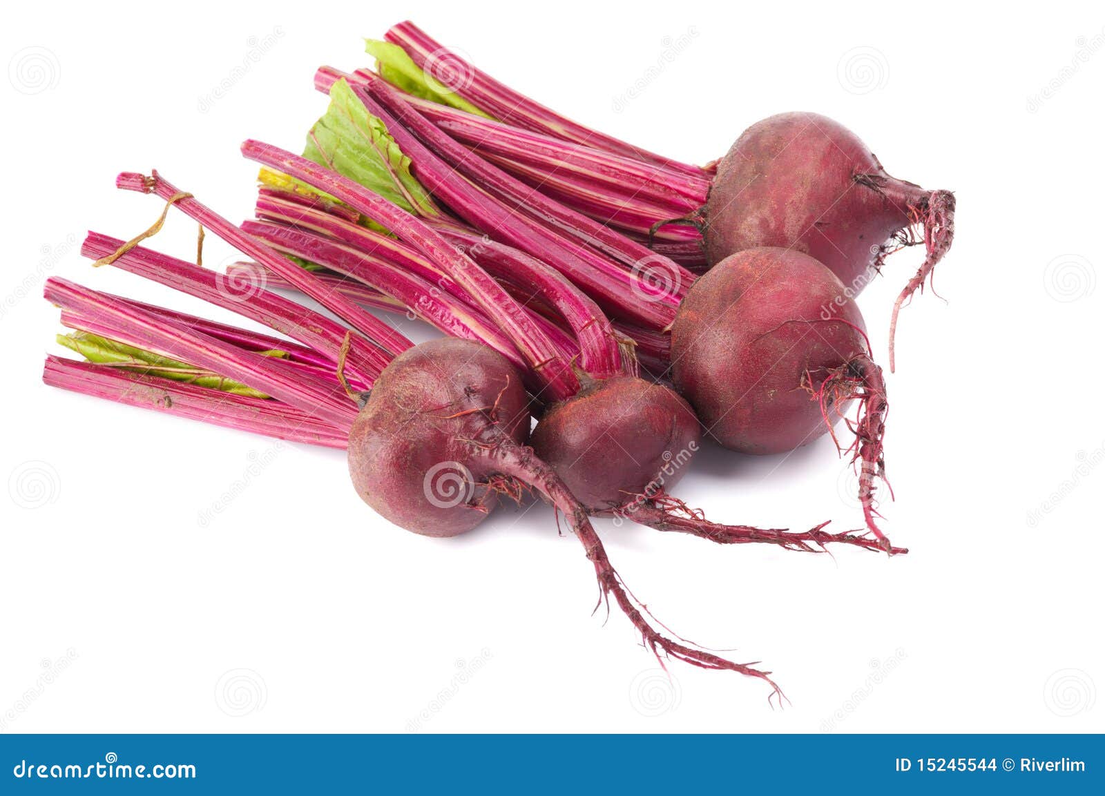 Biet stock foto. Image of purper, stam, versheid, radijs - 15245544