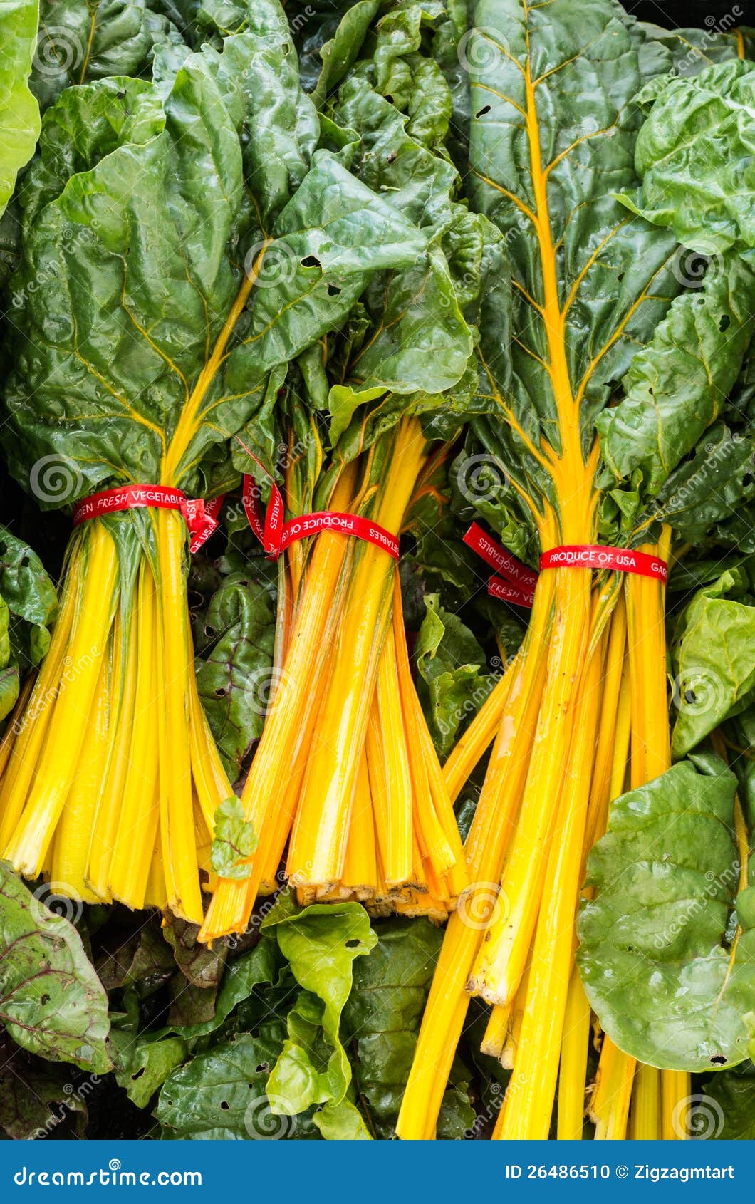 Bietola Da Coste Svizzera Gialla Su Visualizzazione Fotografia Stock ...