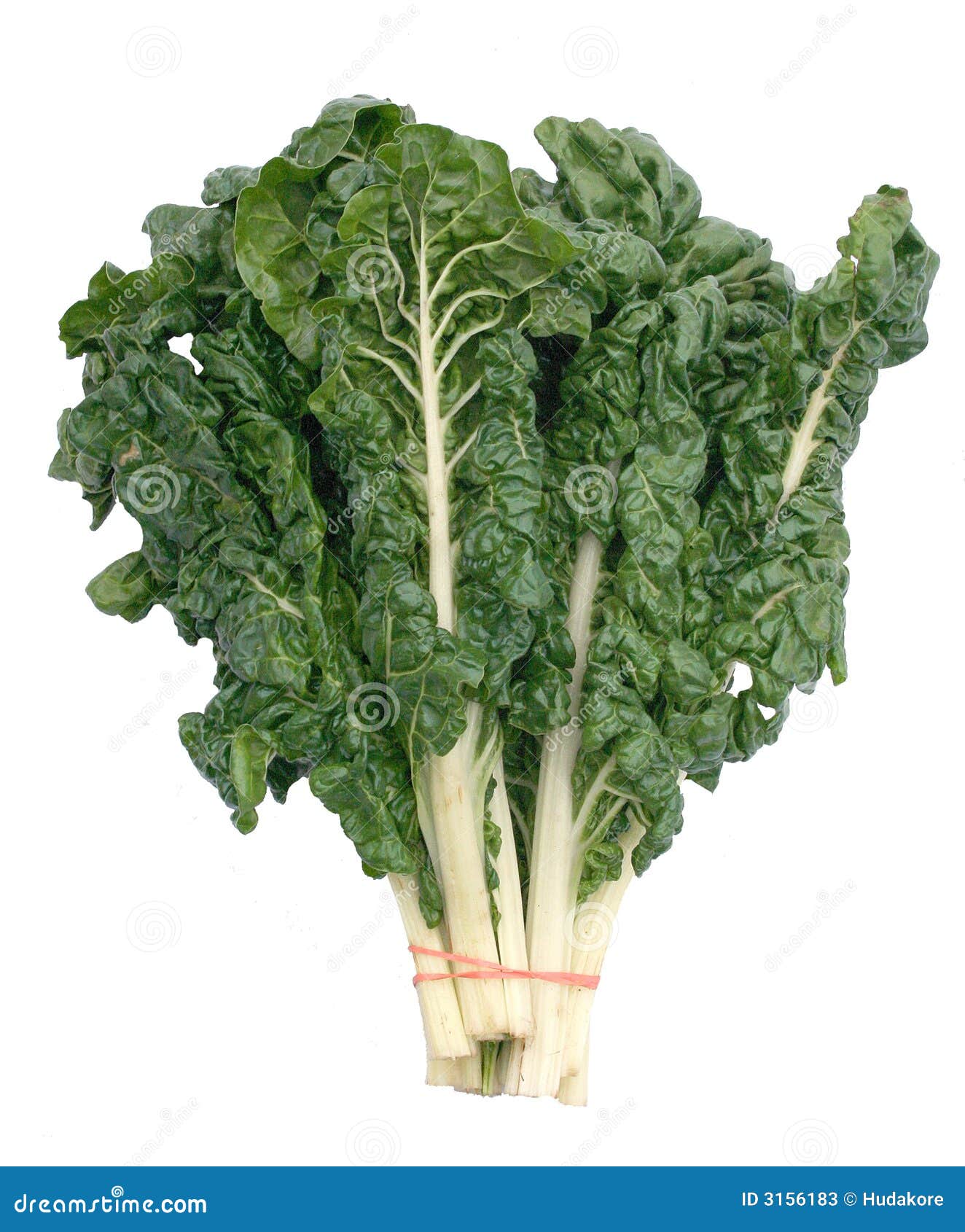 Bietola Da Coste Svizzera Verde Immagine Stock - Immagine di frondoso ...