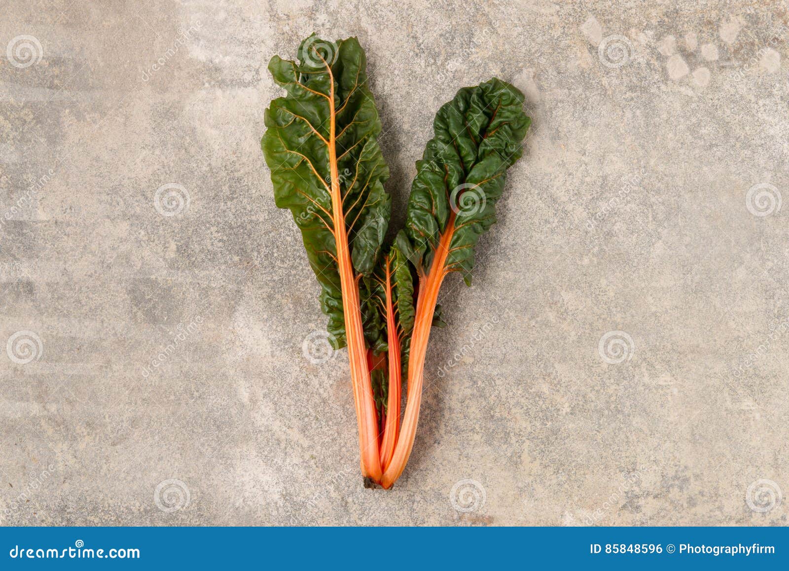 Bietola rossa del gambo fotografia stock. Immagine di vegetariano ...