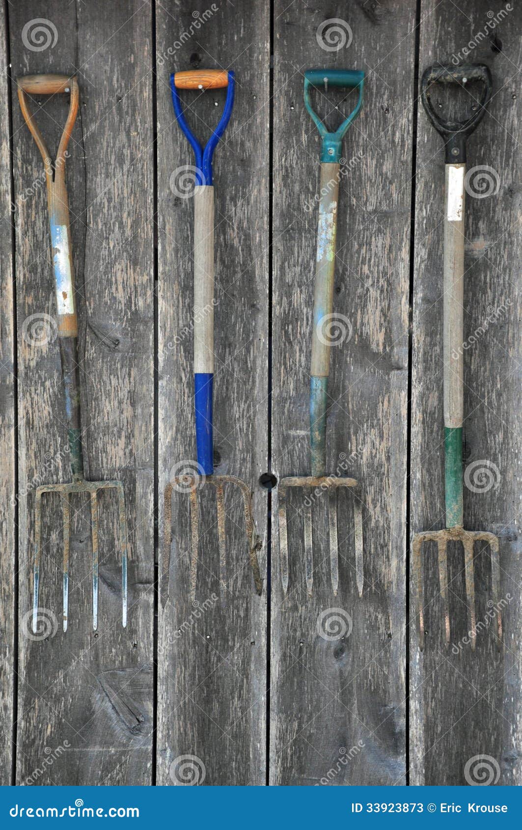 Bifurcaciones de la echada imagen de archivo. Imagen de pared - 33923873