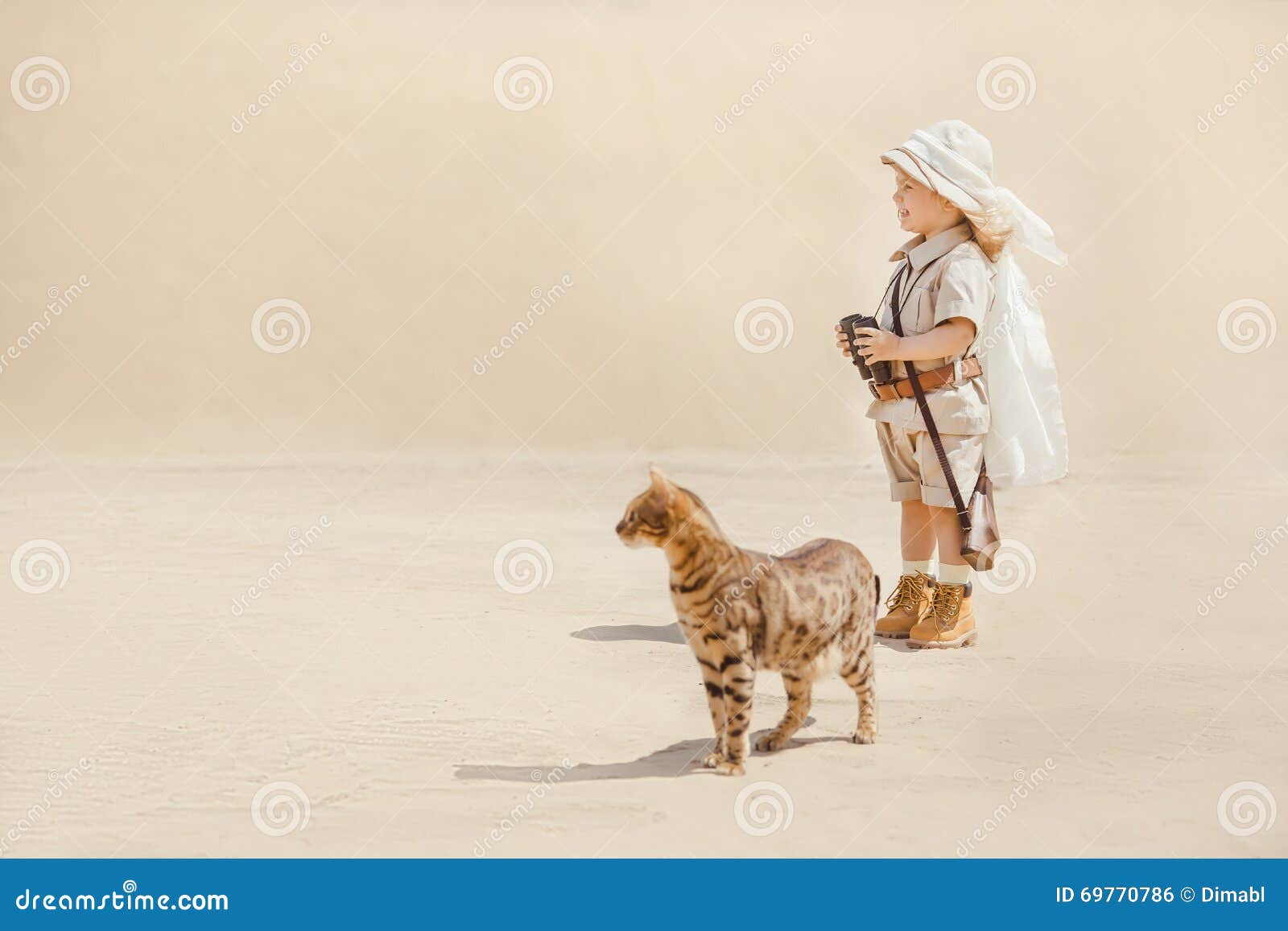 Pathfinder Cat Stock Photos - Free & Royalty-Free Stock Photos from ...