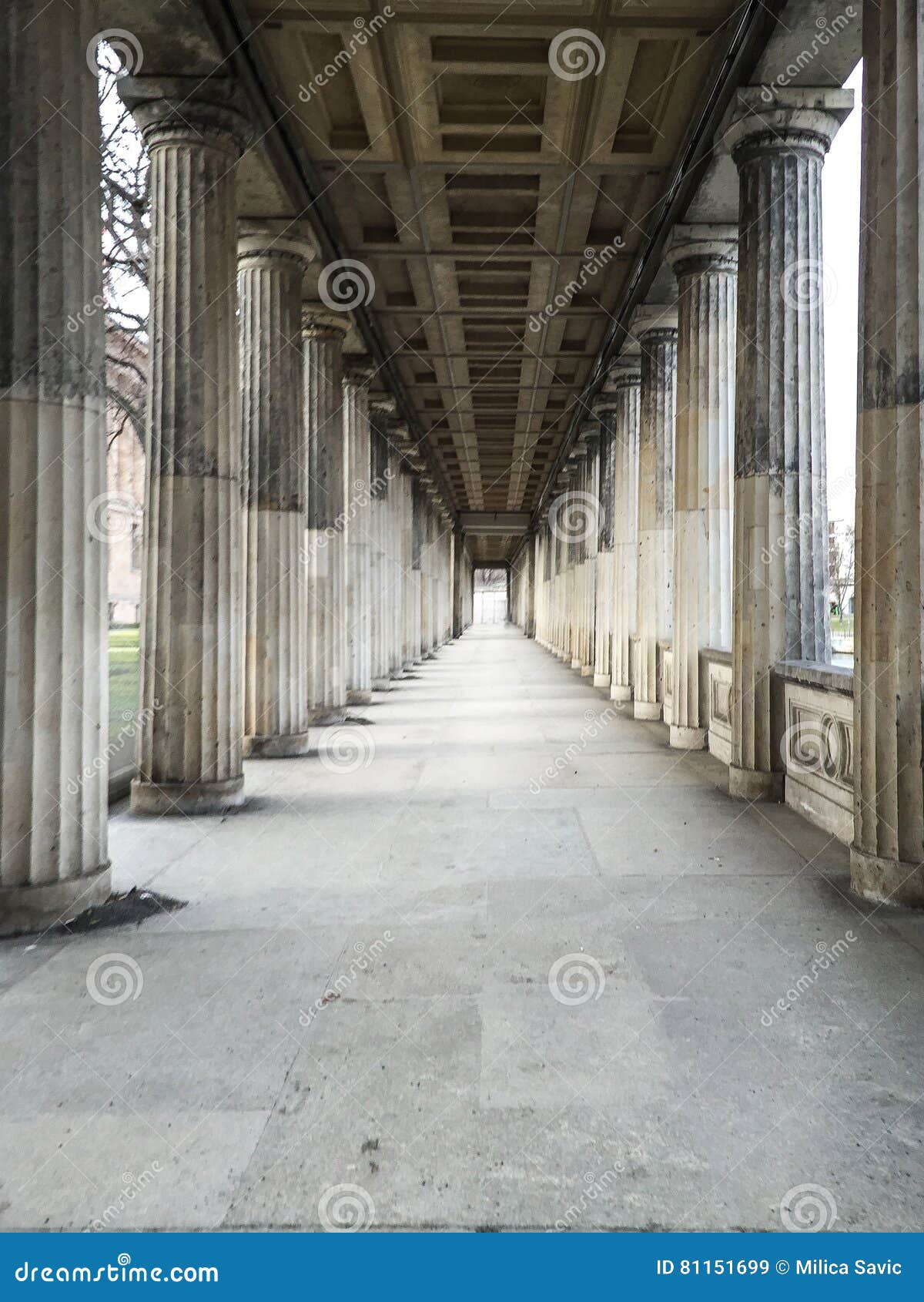 Big alligned pillars stock image. Image of light, office - 81151699