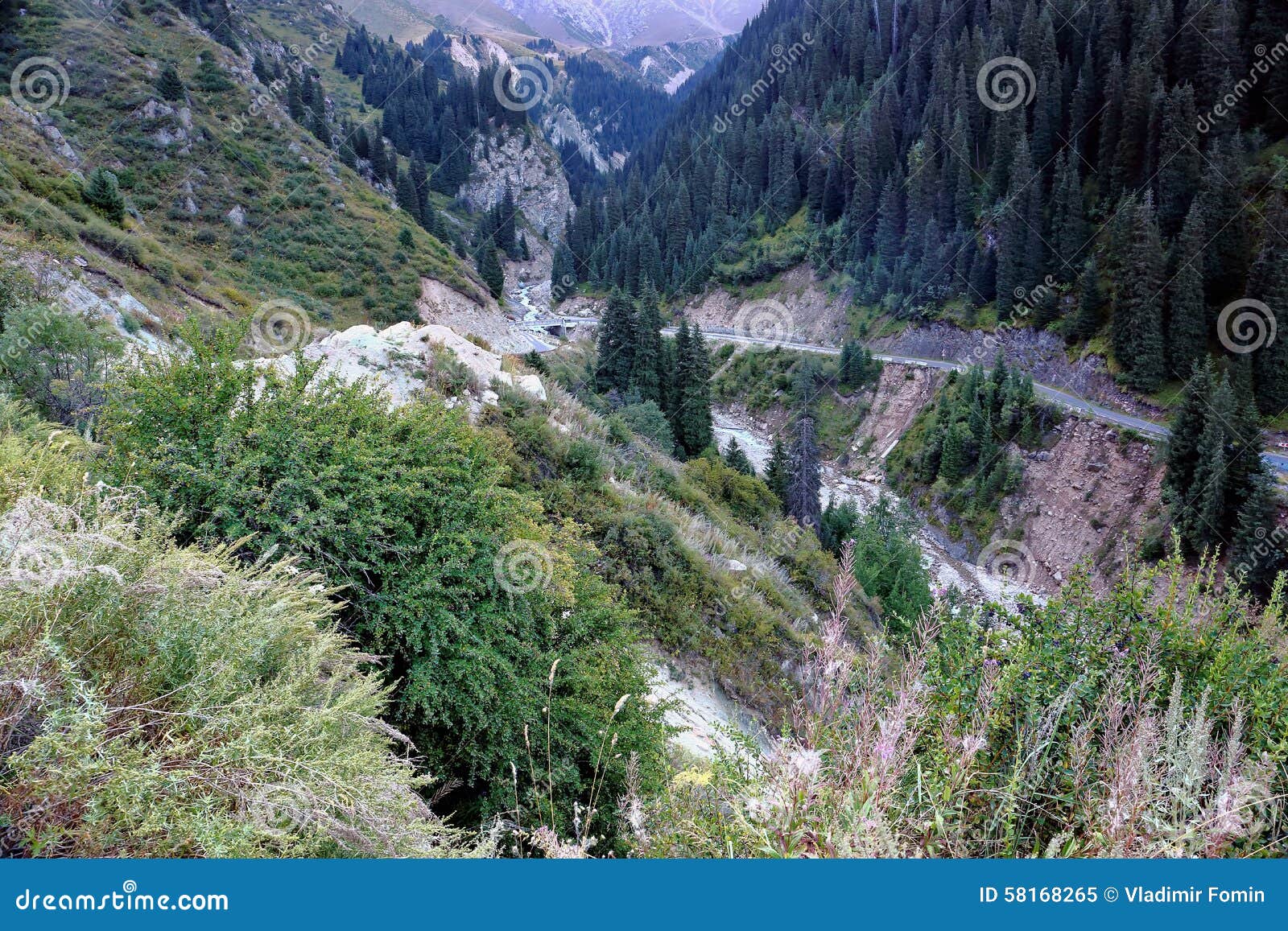 Big Almaty gorge. stock image. Image of grows, almaty - 58168265