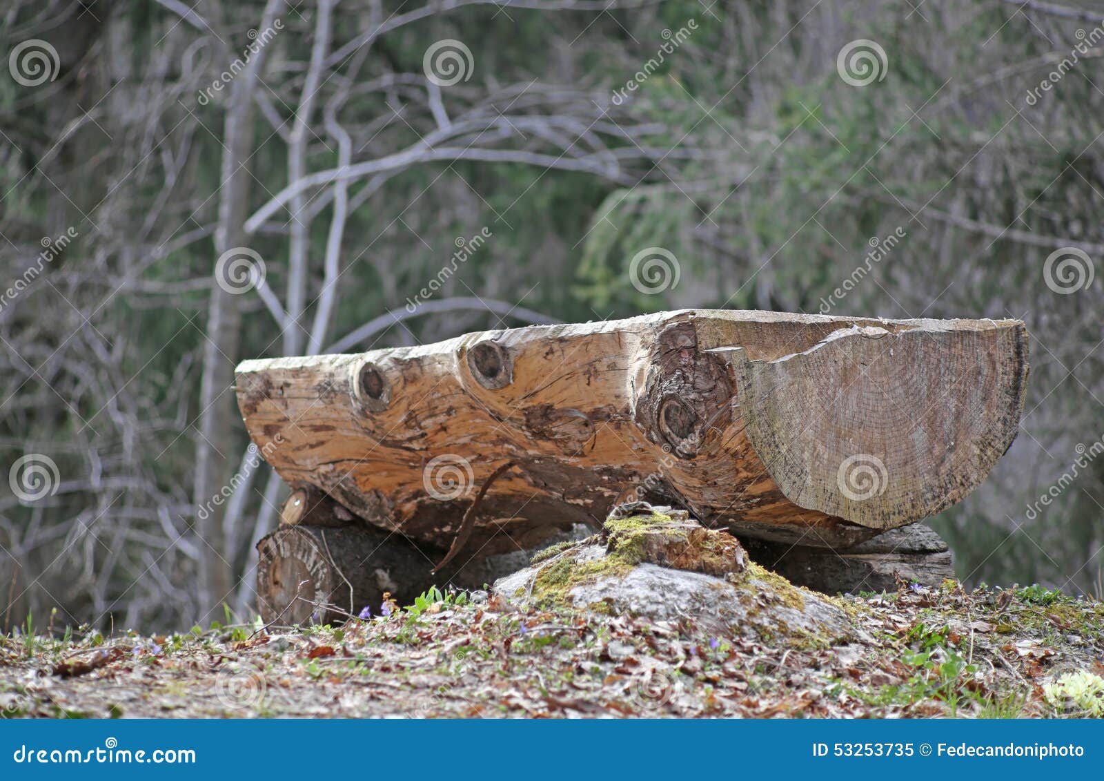 Big Altar in the Middle of the Forest Consists of a Big Tree Stock ...