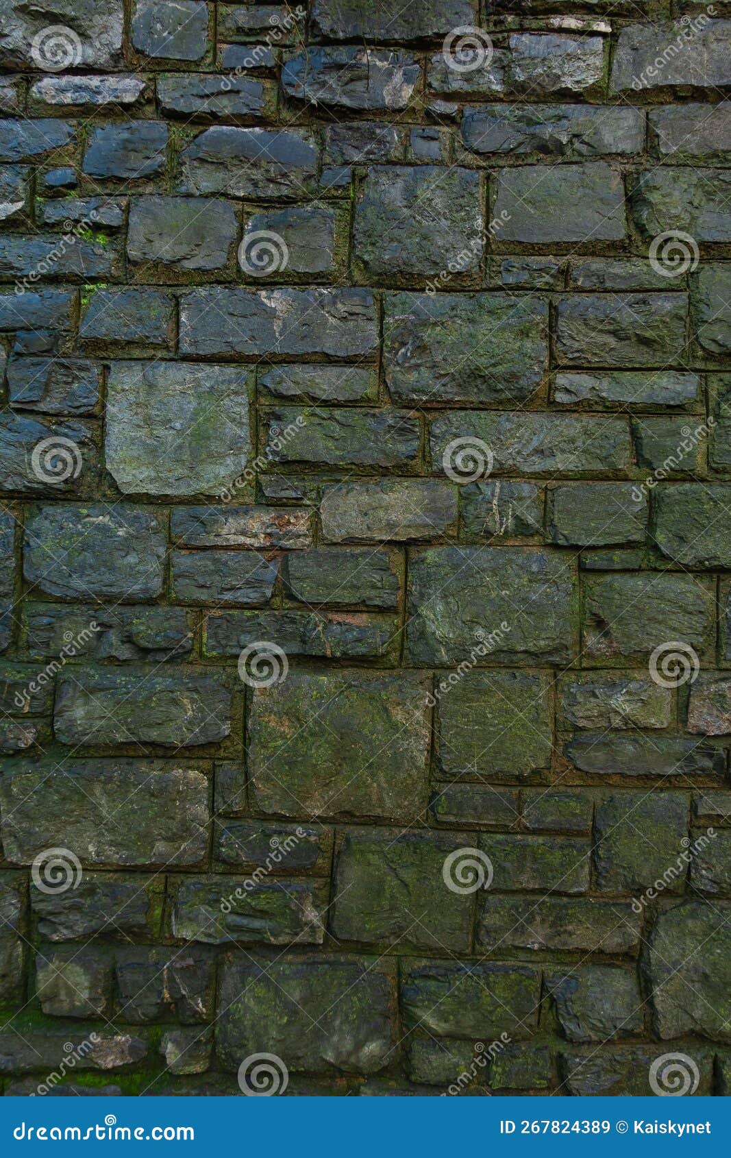 Big Amount of Green Moss on a Stone Brick Wall. Frontal Shot of an Old ...