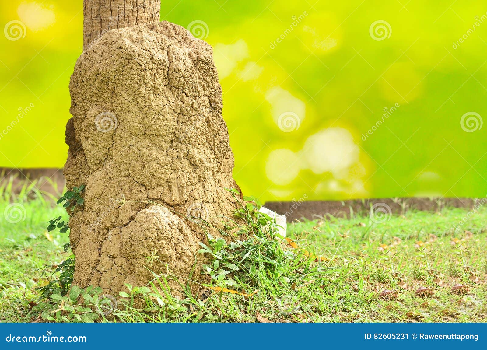 Big Anthill with Colony of Ants Stock Image - Image of edge, wildlife ...