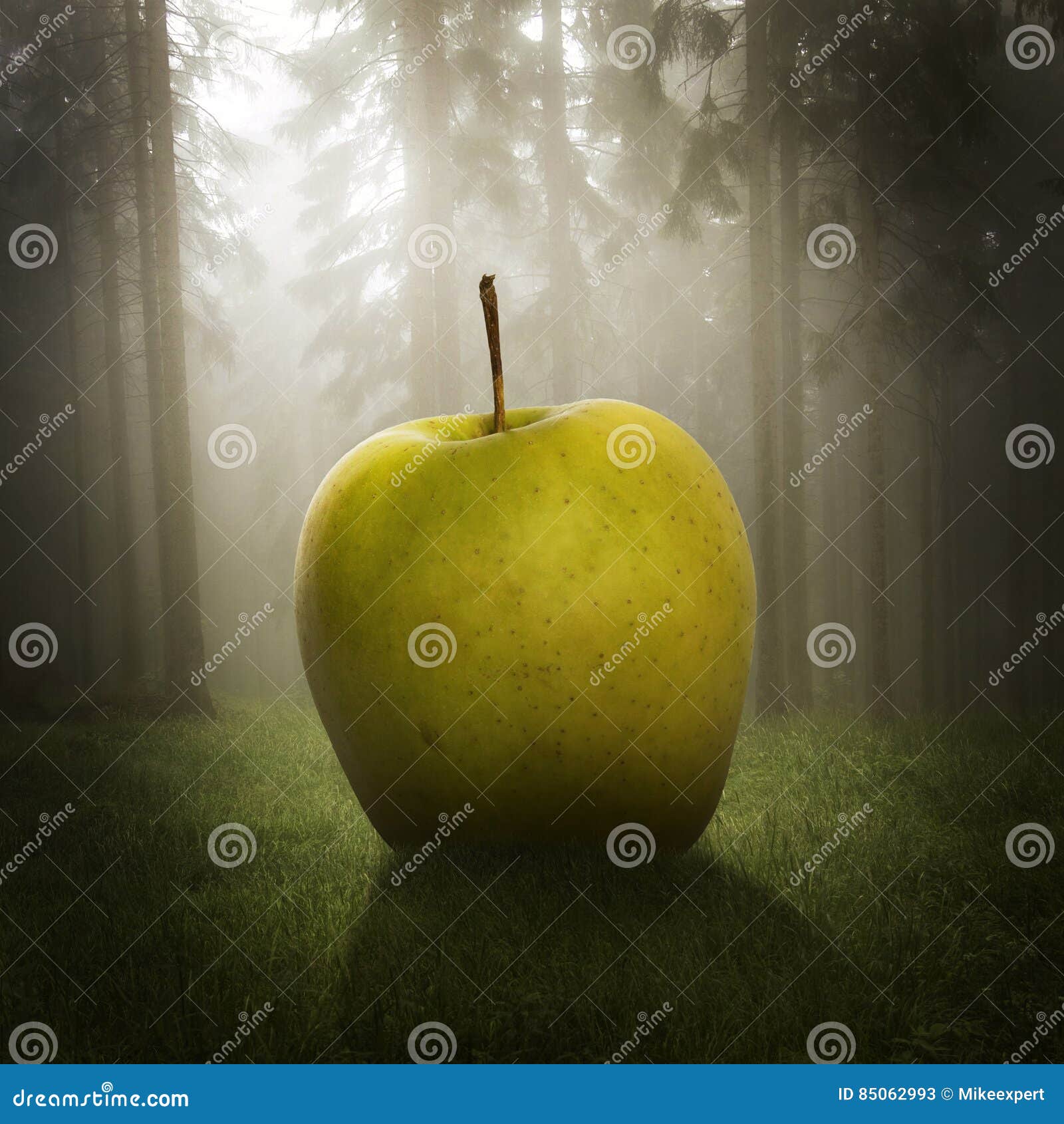 Big apple in the forest stock image. Image of forest - 85062993