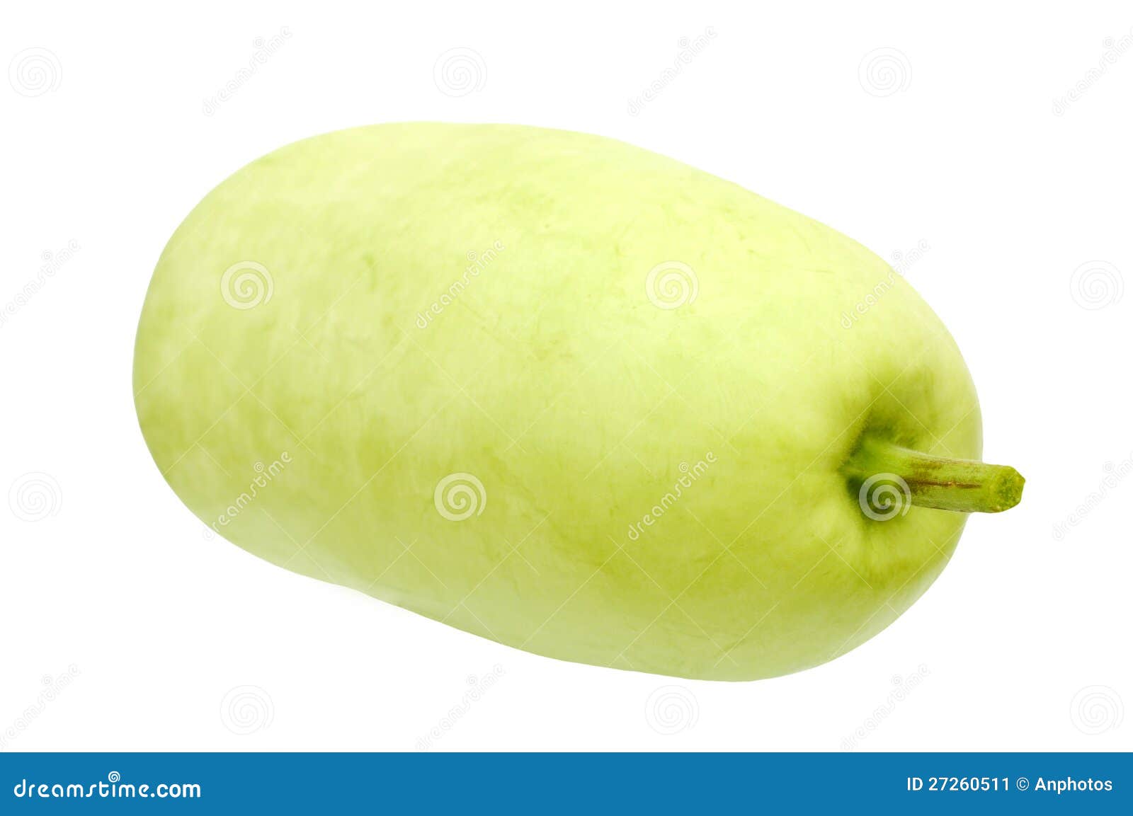 A big asian squash stock image. Image of garden, orient - 27260511