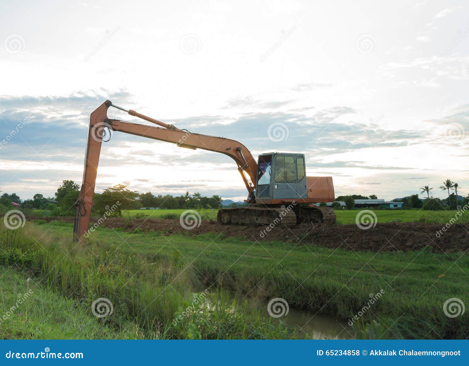 The Big Backhoe Excavator Machine in the Green Rice Field Stock Photo ...