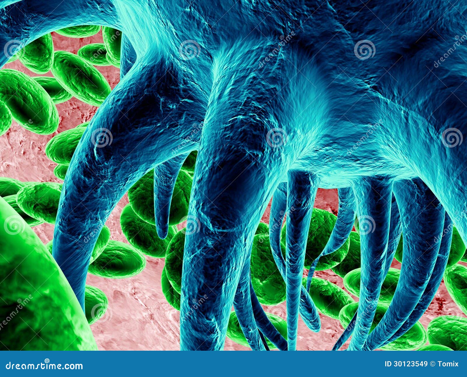 Big bacteria stock illustration. Illustration of blue - 30123549