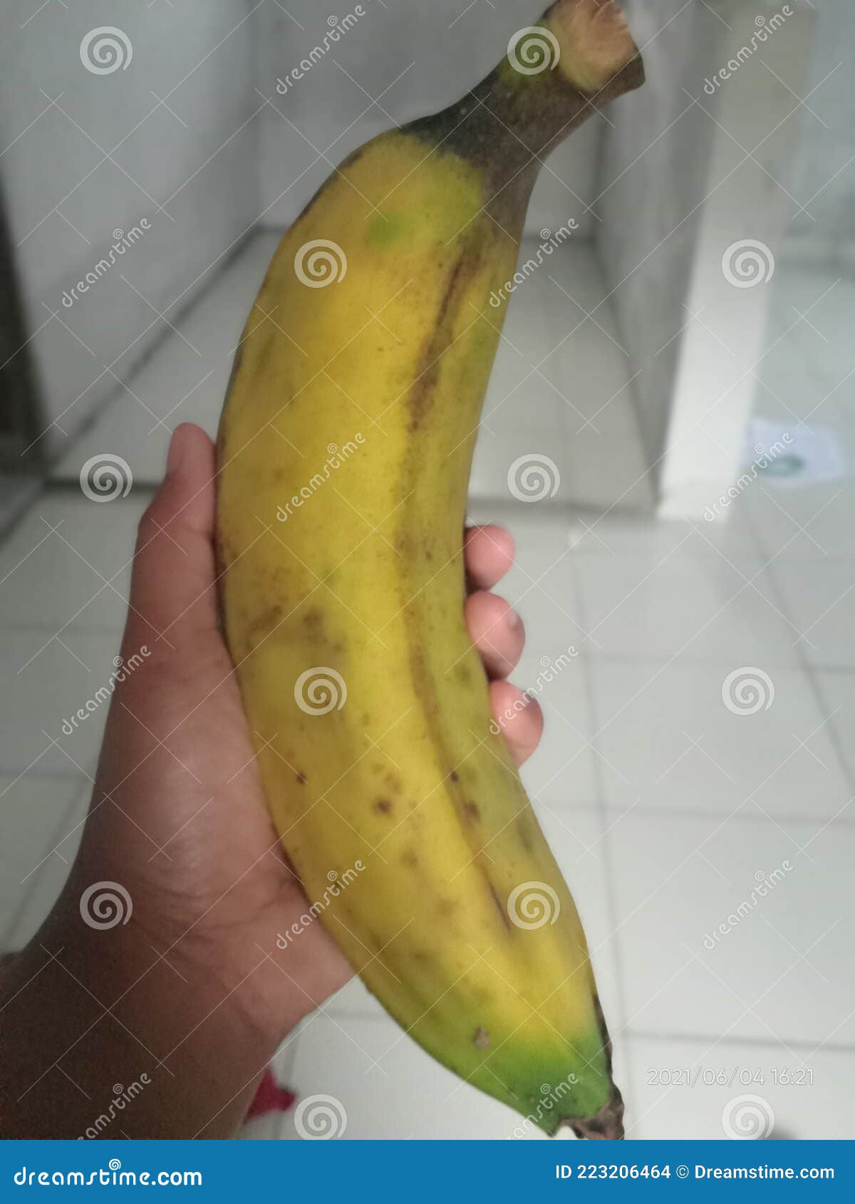 Big banana from the forest stock photo. Image of gourd - 223206464