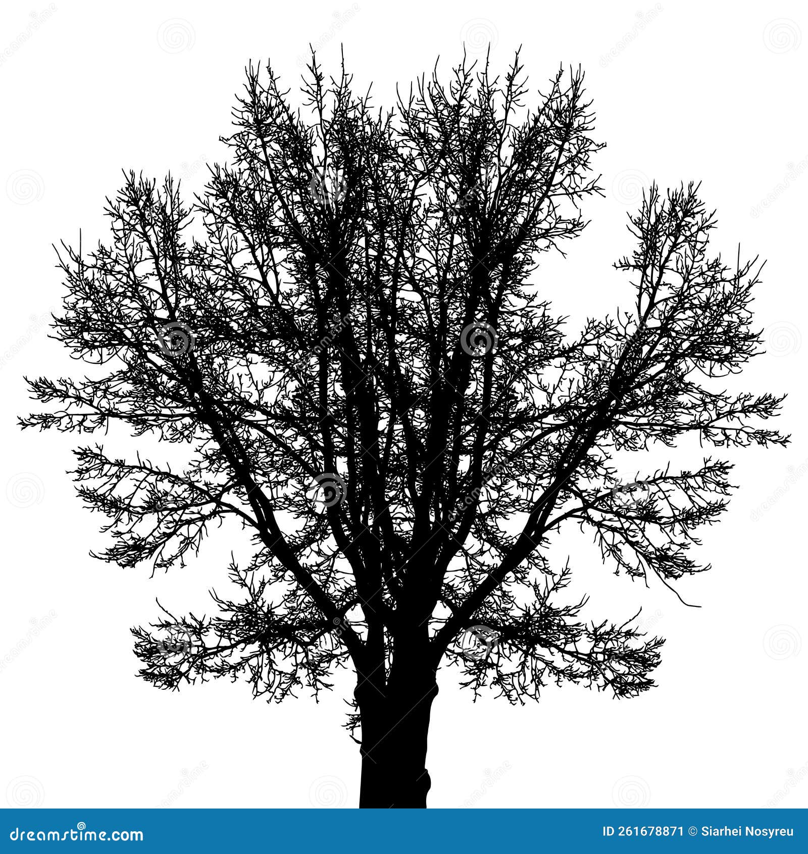 Big Bare Tree Silhouette, Many Branches. Vector Illustration Stock ...