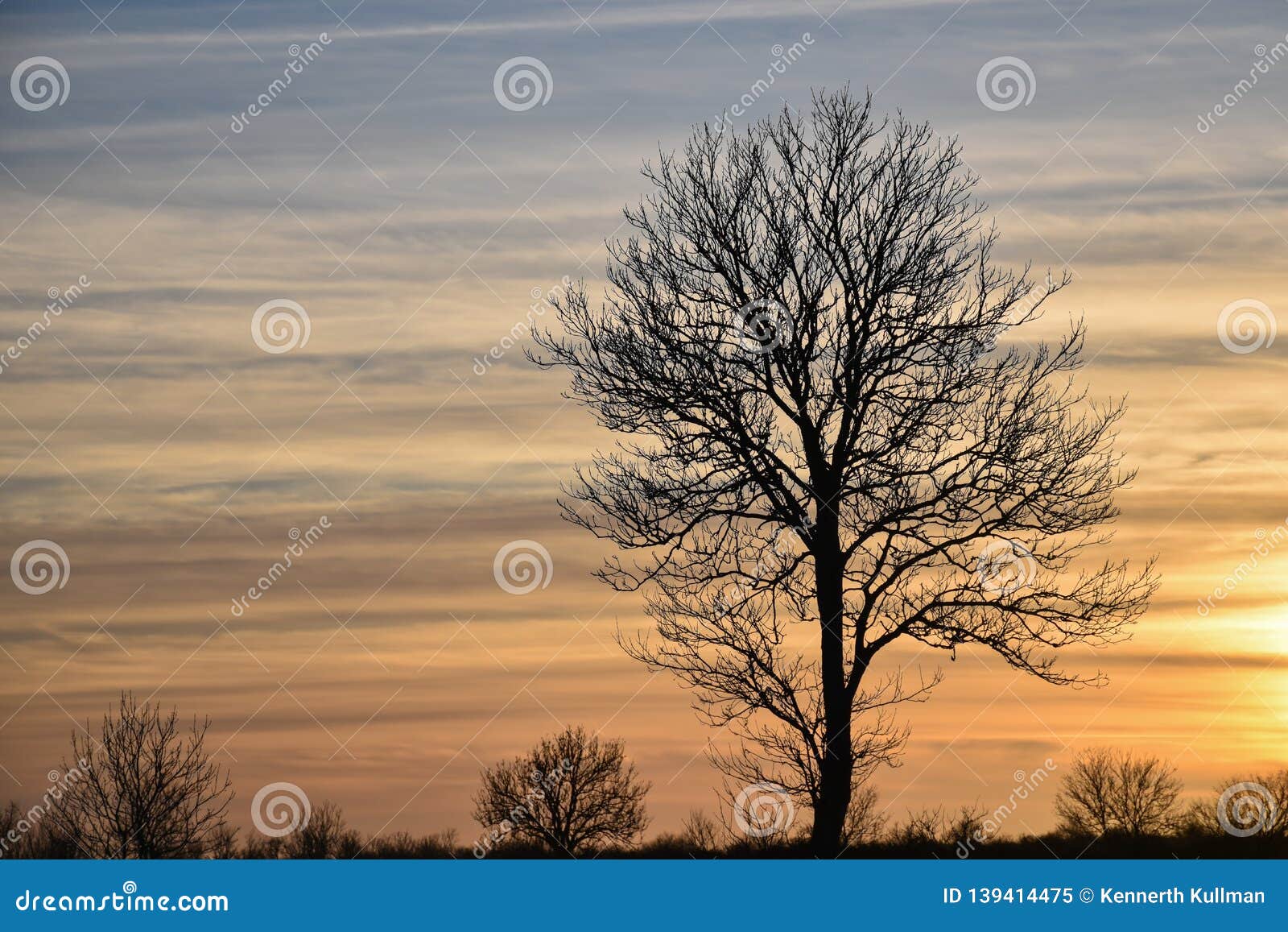 Big Bare Tree Silhouette by Sunset Stock Image - Image of orange, lone ...