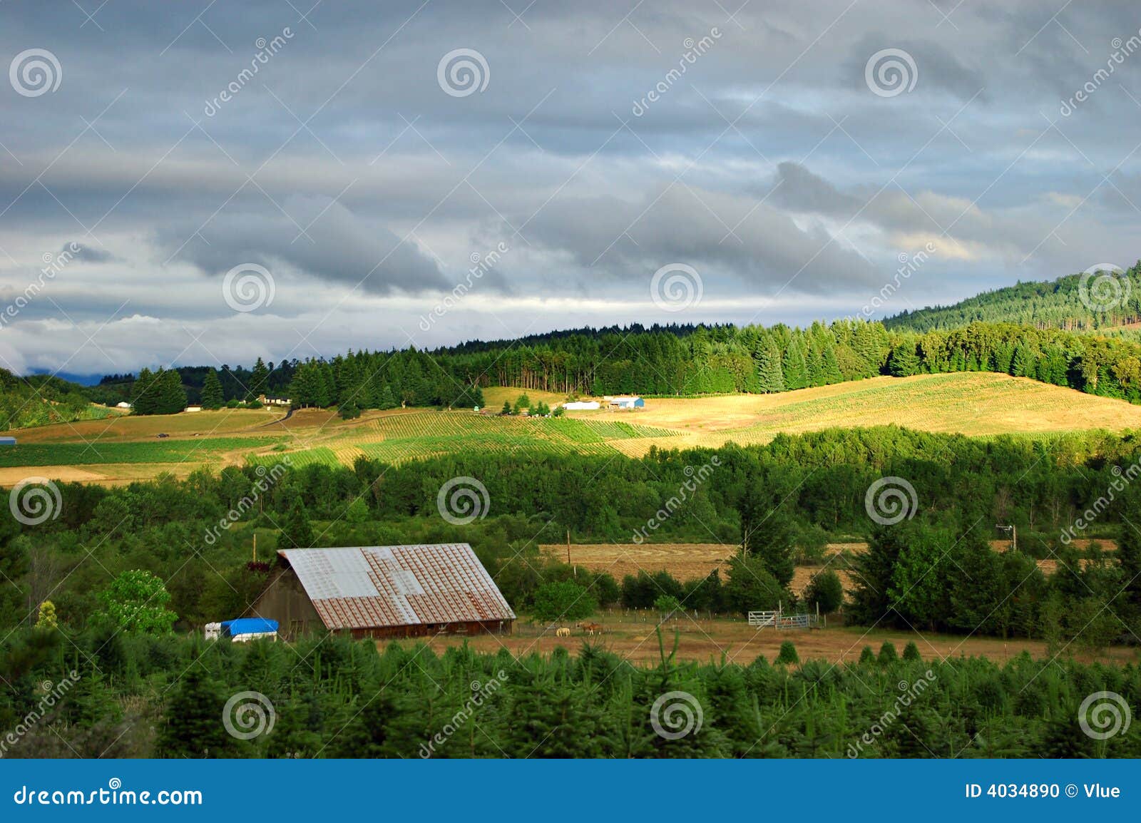 Big barn in farmland stock photo. Image of land, agricultural - 4034890