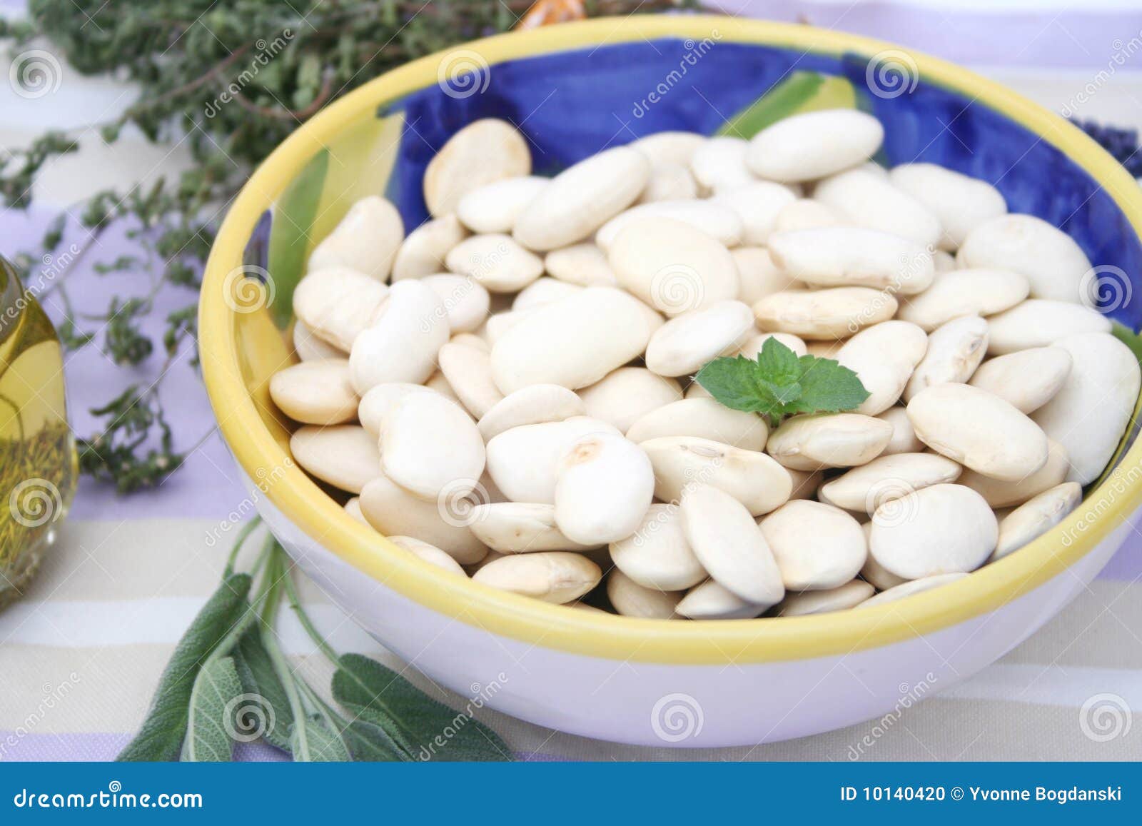 Big beans stock photo. Image of cooking, vitamins, uncooked - 10140420