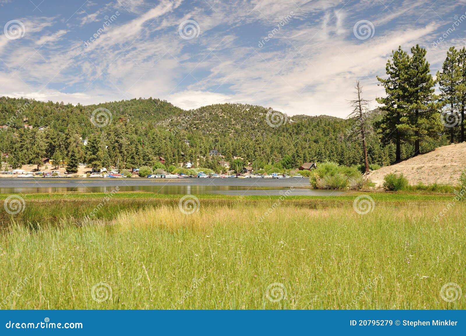 Big Bear marsh stock image. Image of ecological, bear - 20795279