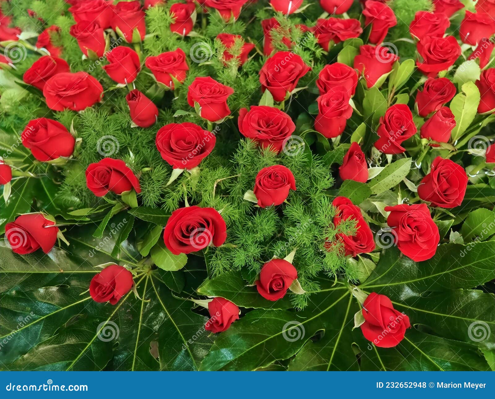 Big Bouquet of Flowers with Red Roses Stock Photo - Image of fragile ...