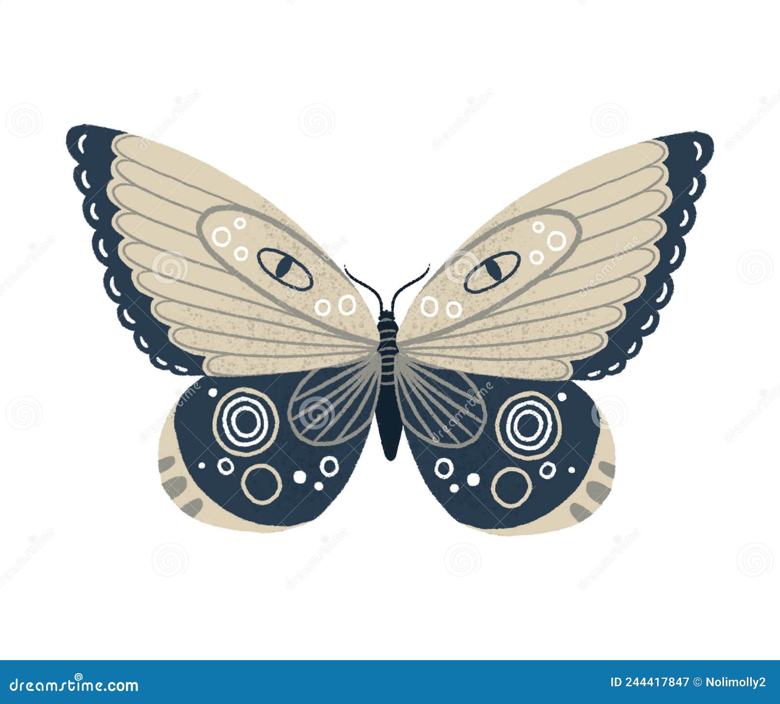 Big Beautiful Exotic Butterfly, Moth with Texture, Hand Drawing Stock ...