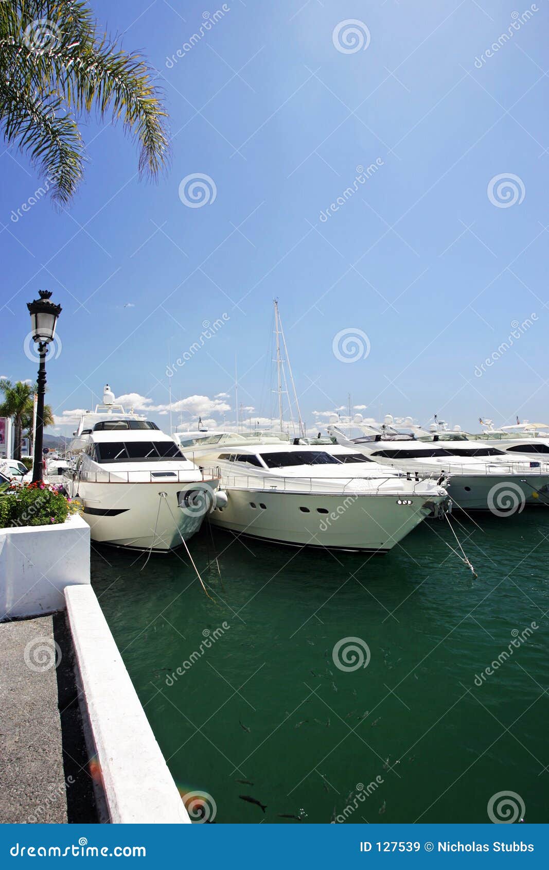 Big, Beautiful, Stunning and Luxurious White Yachts Stock Image - Image ...