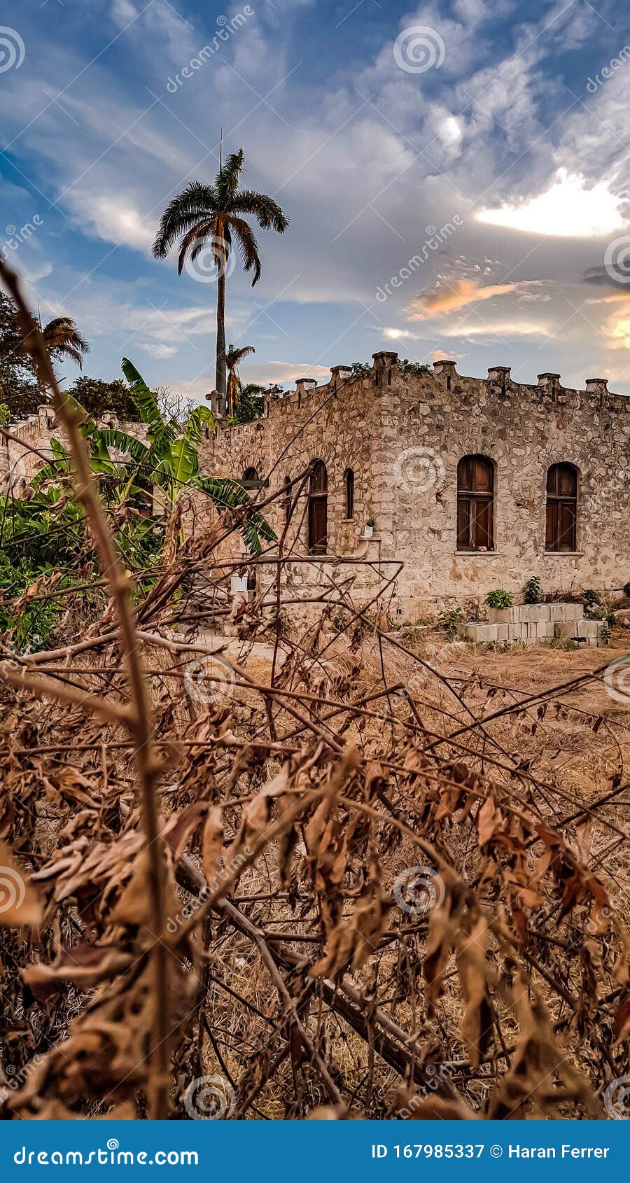 The big beige castle stock image. Image of doors, wall - 167985337