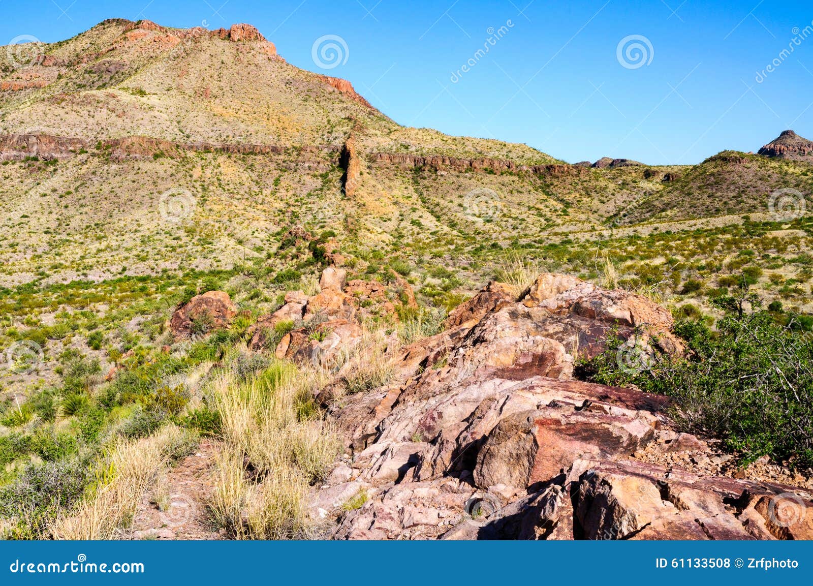 Big Bend National Park stock photo. Image of territory - 61133508